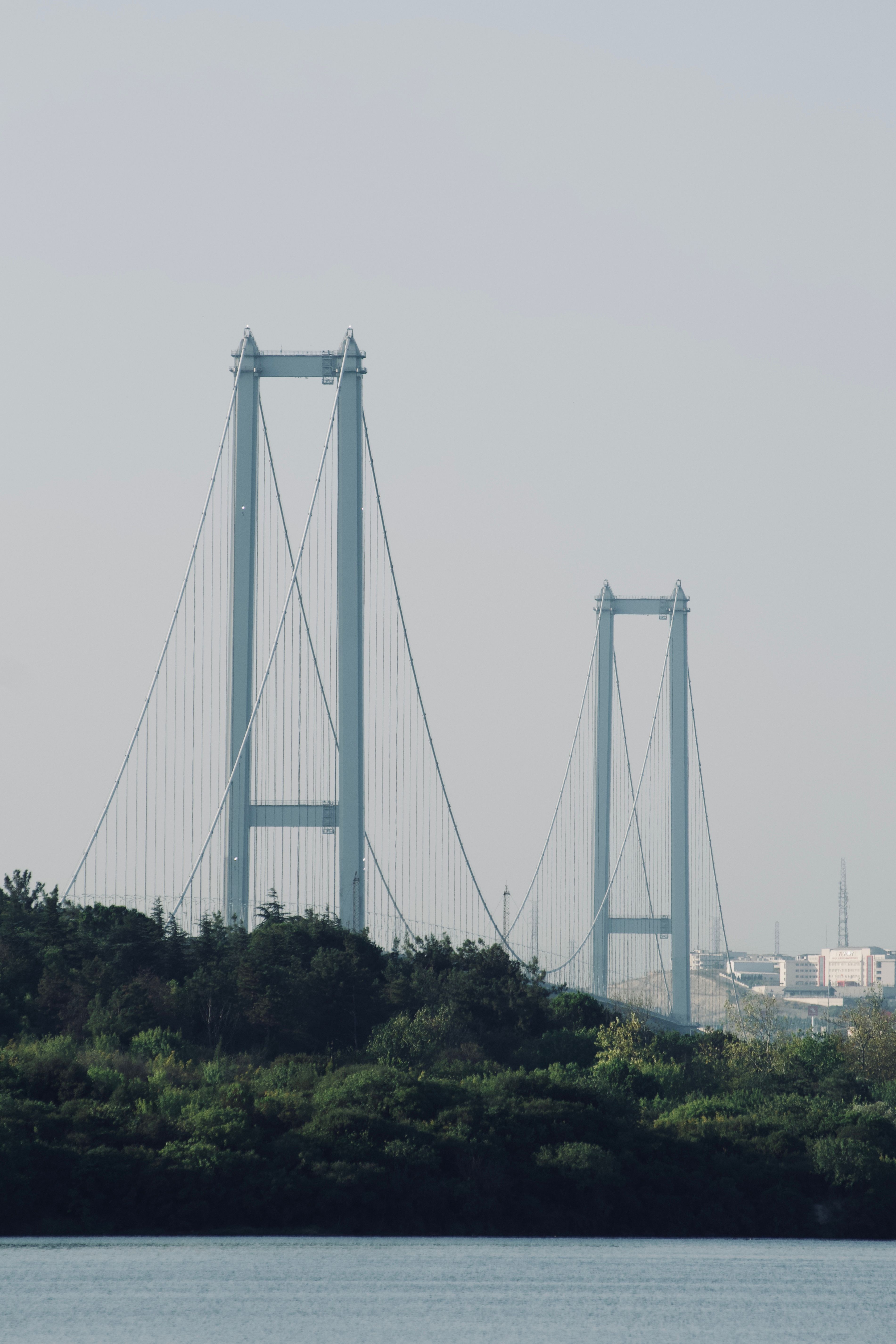 Bridge behind Trees and River · Free Stock Photo