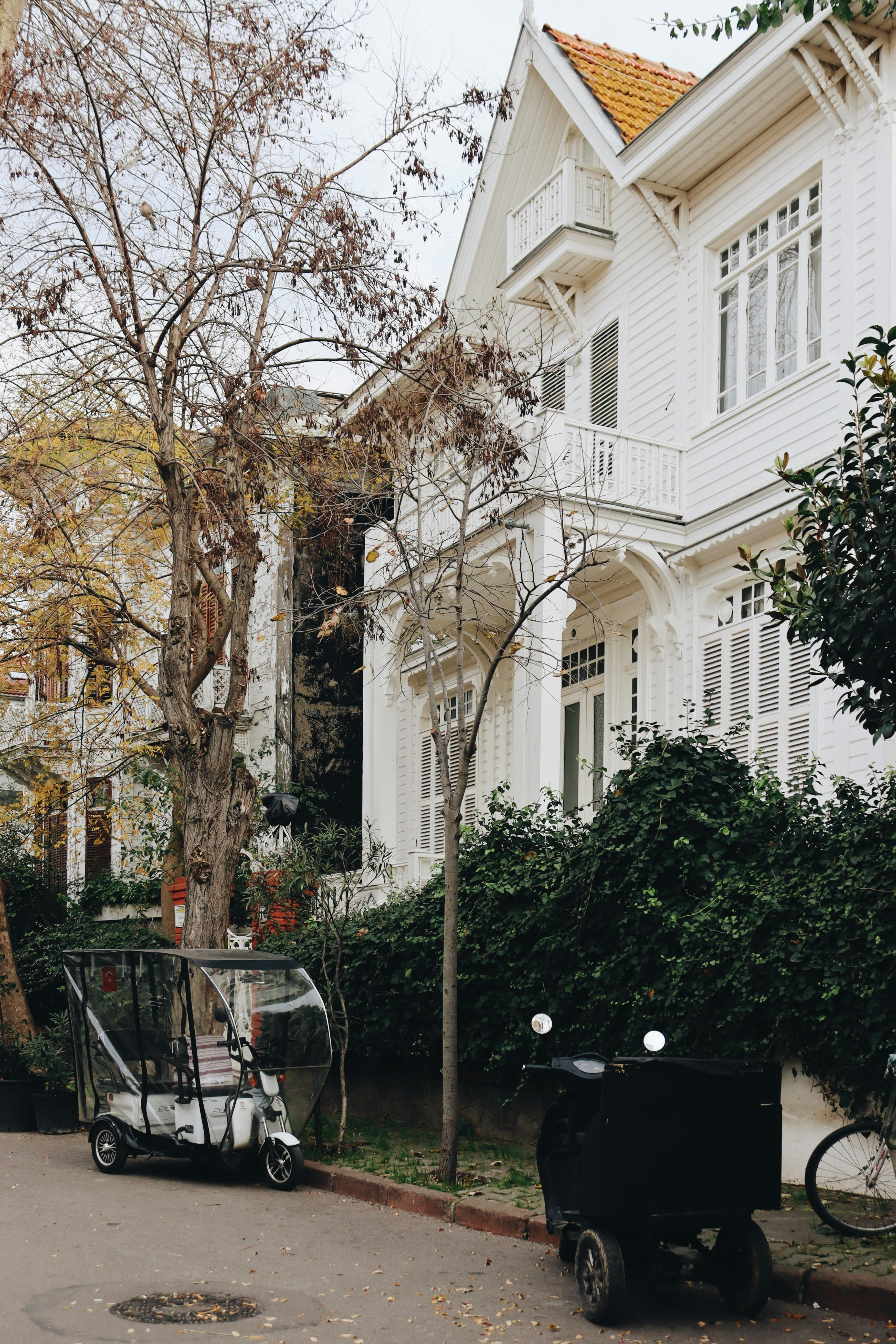 Building Facade and Autumn Tree · Free Stock Photo