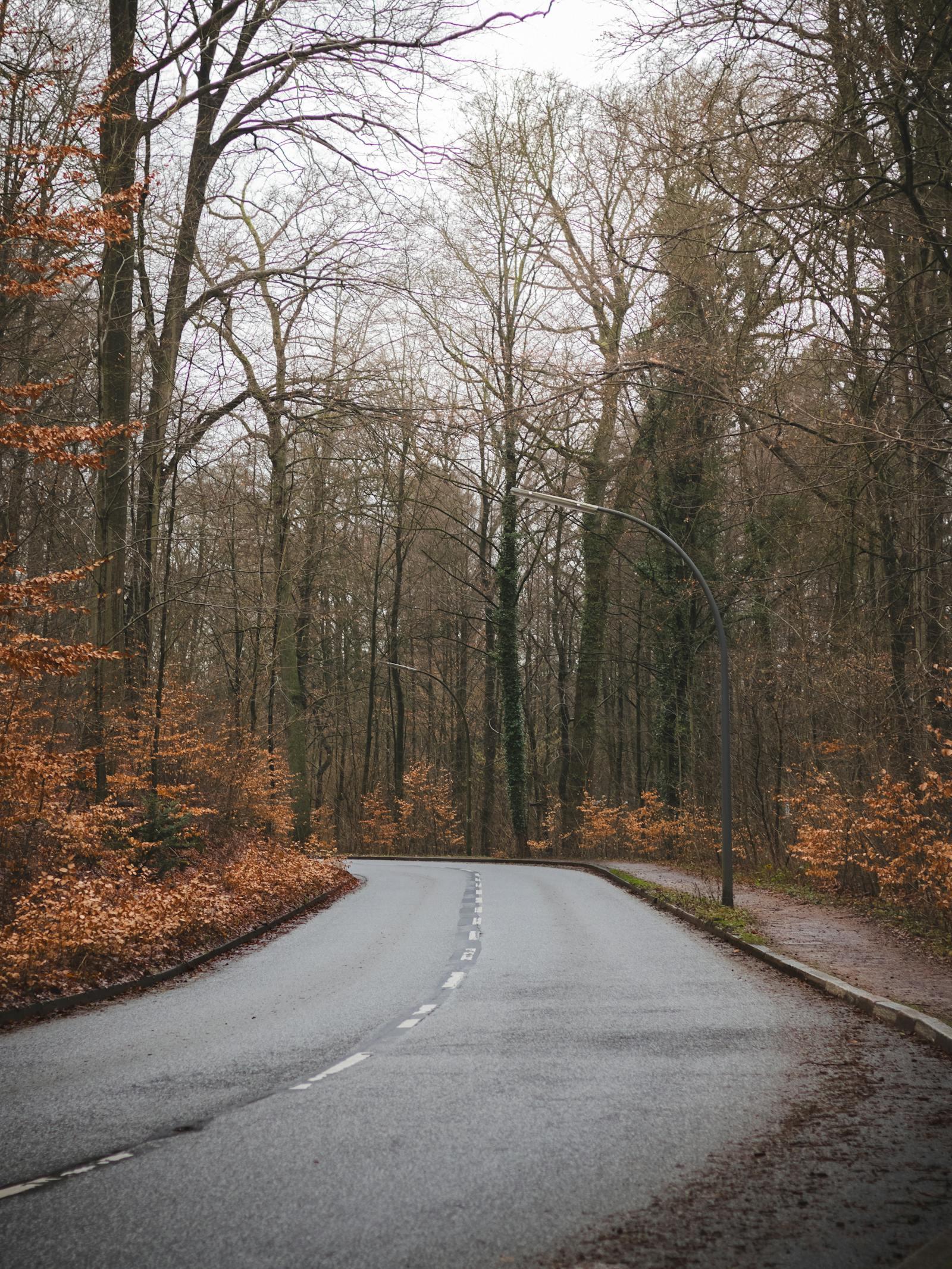 Wood Wallpaper 4k Photos, Download The BEST Free Wood Wallpaper 4k ...