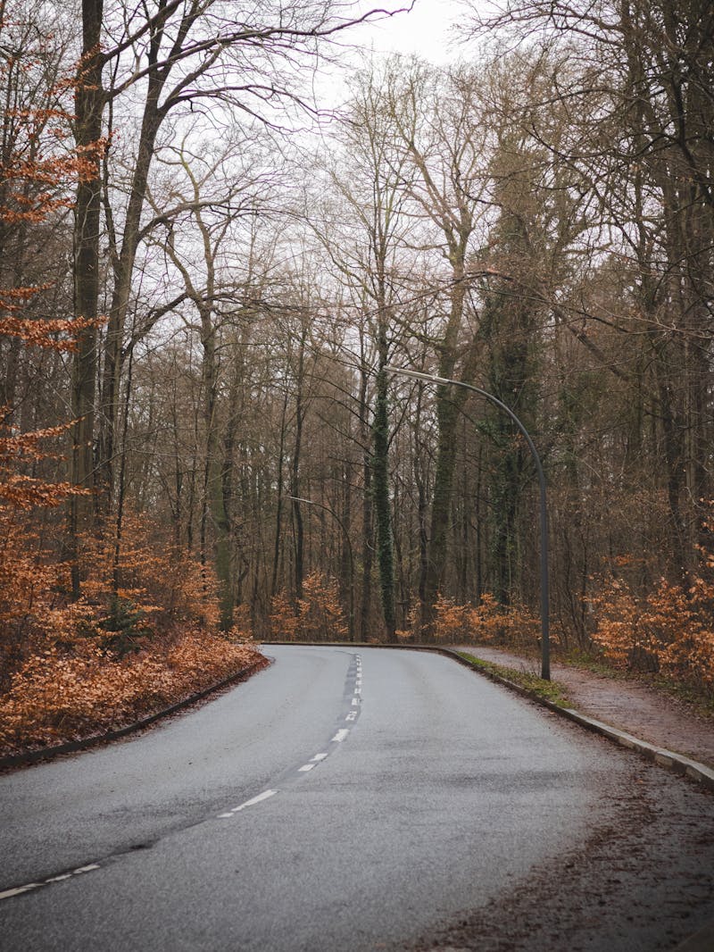 Free Autumn Landscape Photos, Download The BEST Free Free Autumn ...