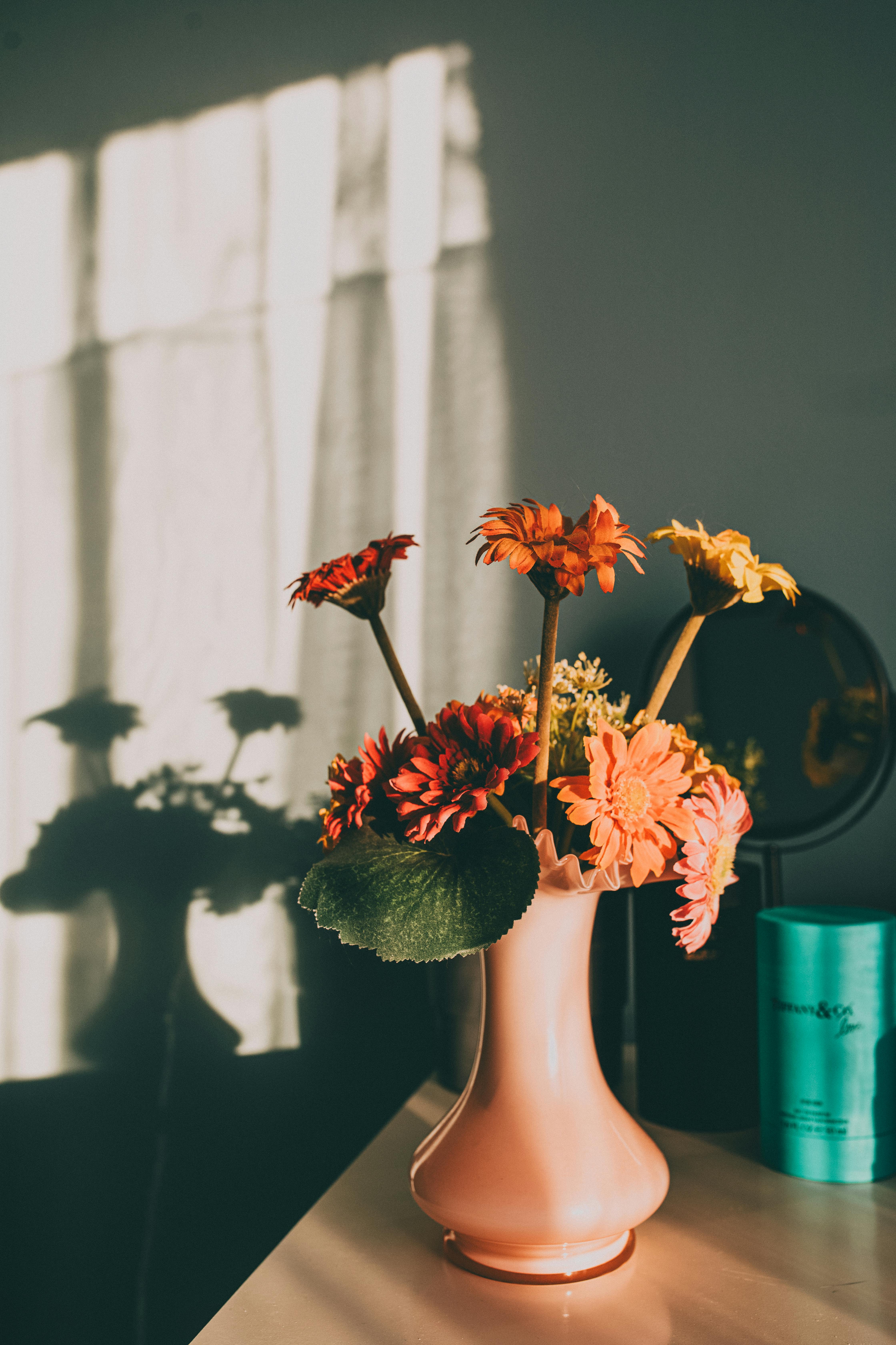 Vase with Flowers Casting Shadow on Wall · Free Stock Photo