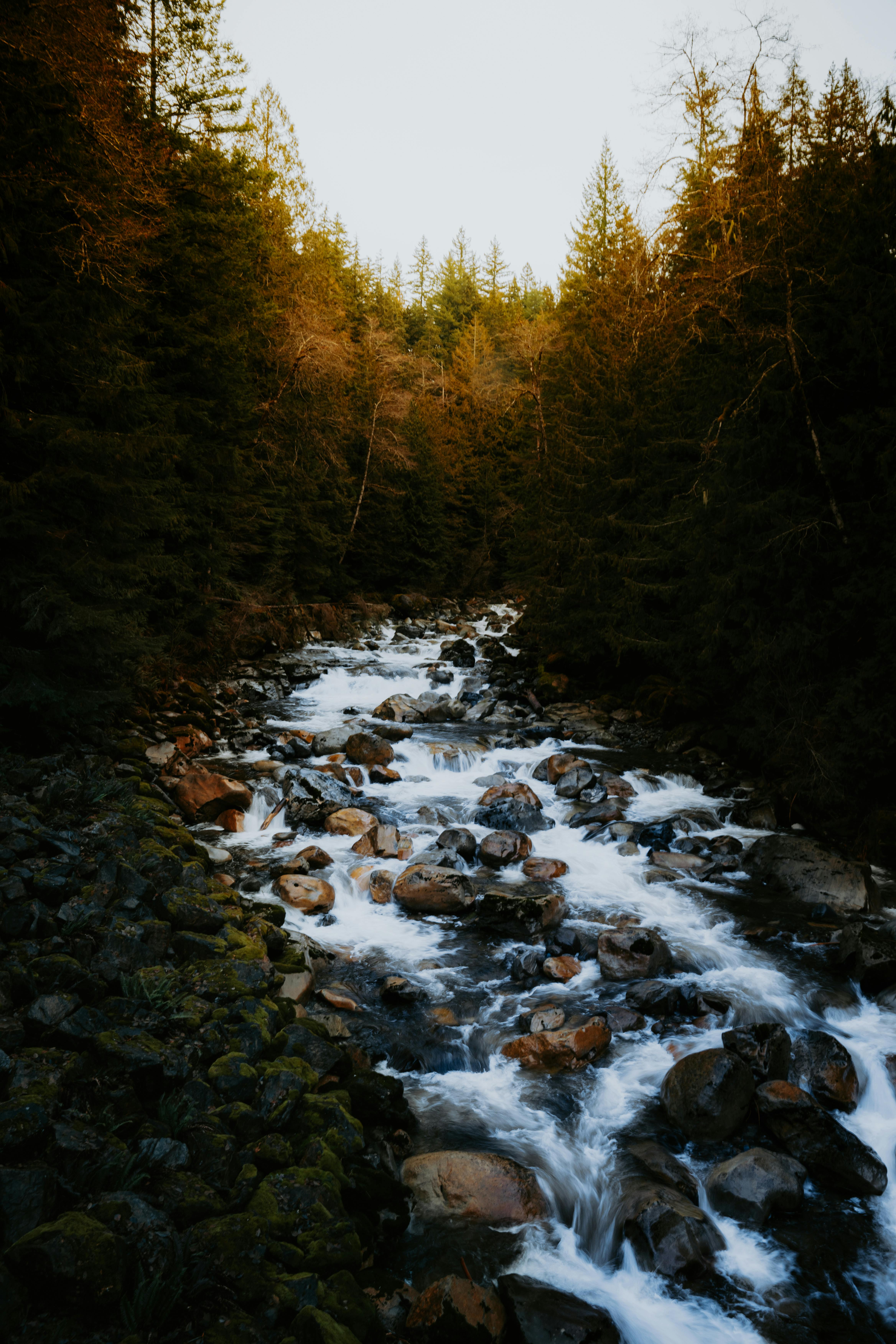 Rushing River Photos, Download The BEST Free Rushing River Stock Photos ...