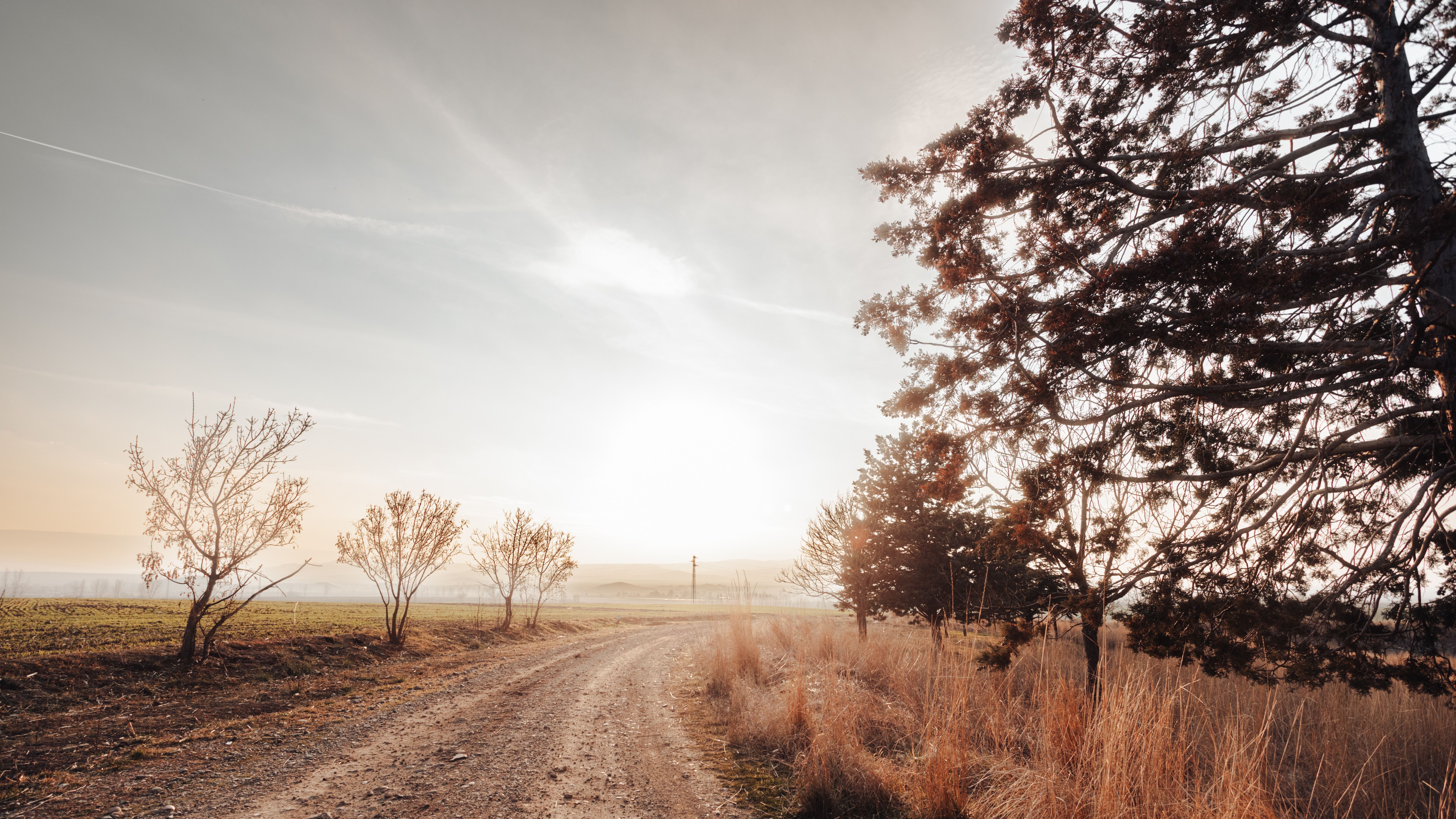 Dirt Road Bend on Plain Landscape · Free Stock Photo
