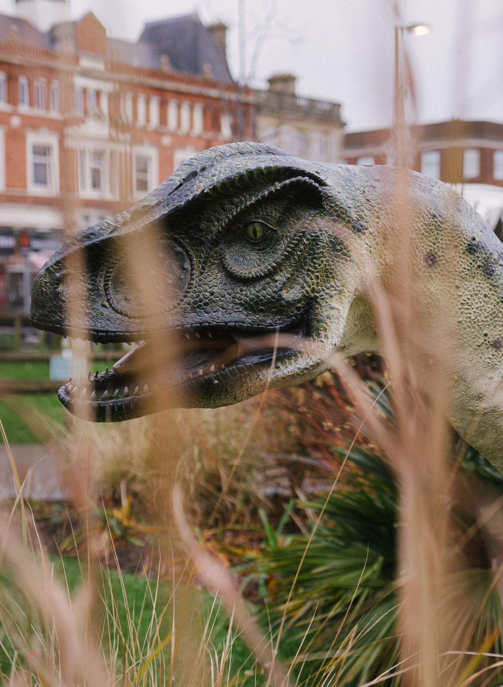Dinosaur Head Photos, Download The BEST Free Dinosaur Head Stock Photos ...