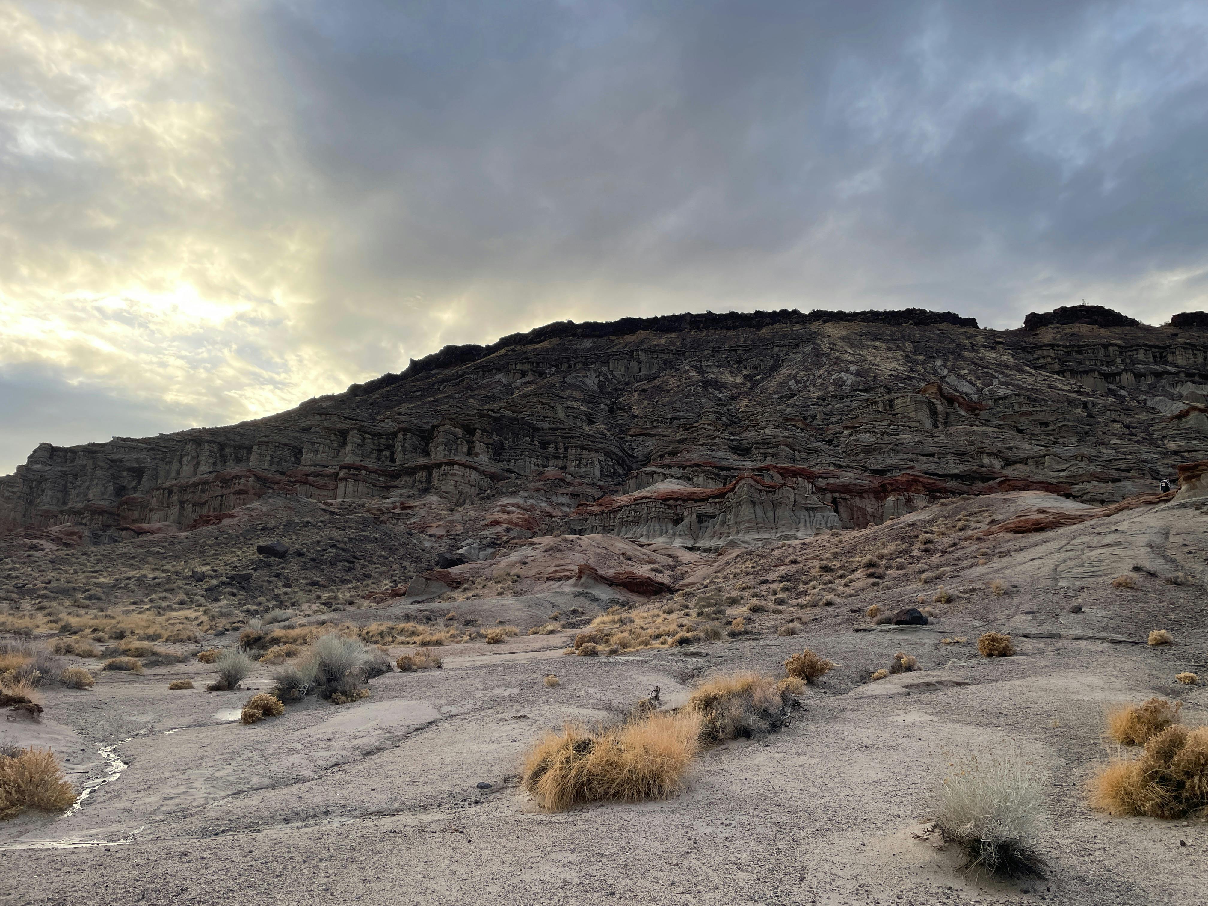 Adrian - Photography