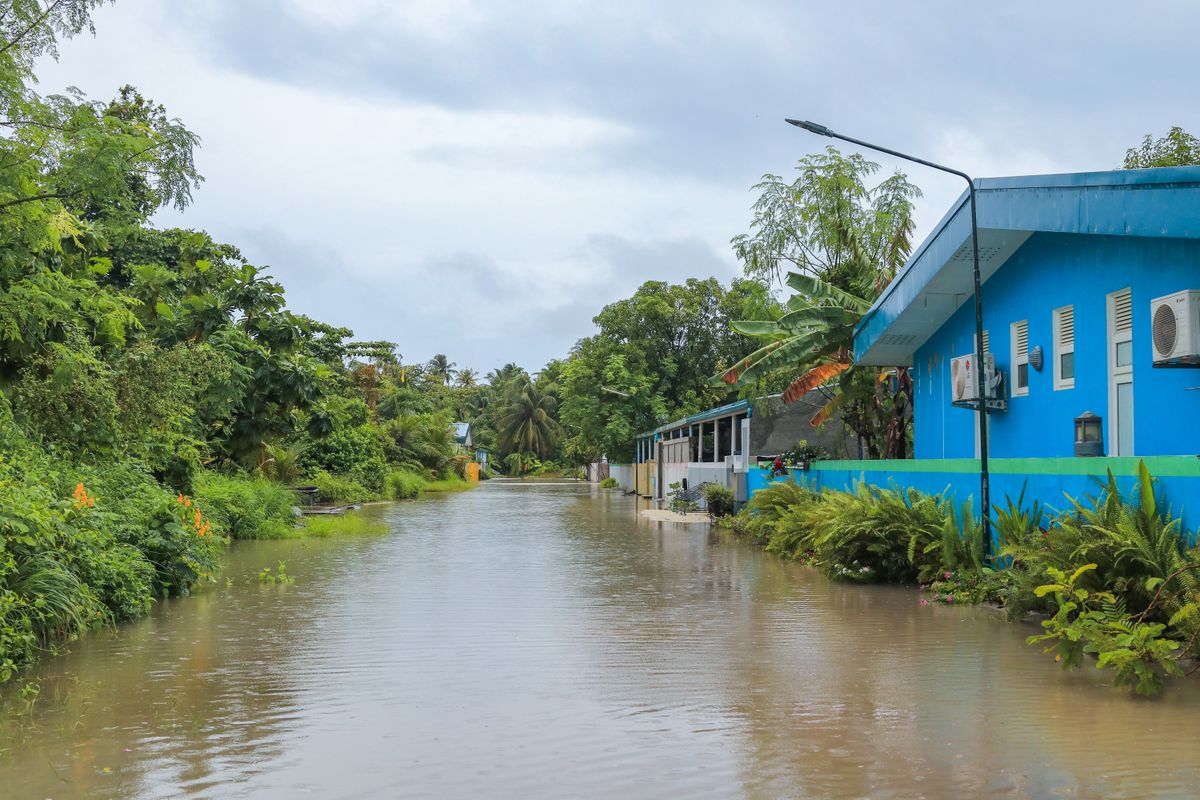 Flood Disaster Photos, Download The BEST Free Flood Disaster Stock ...