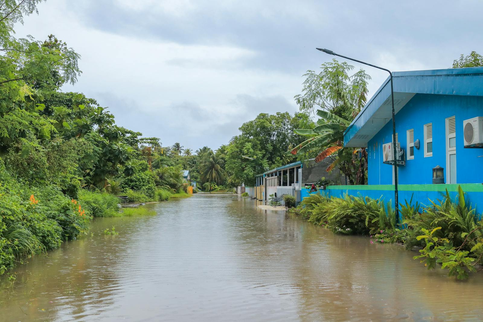 Flood Disaster Photos, Download The BEST Free Flood Disaster Stock ...