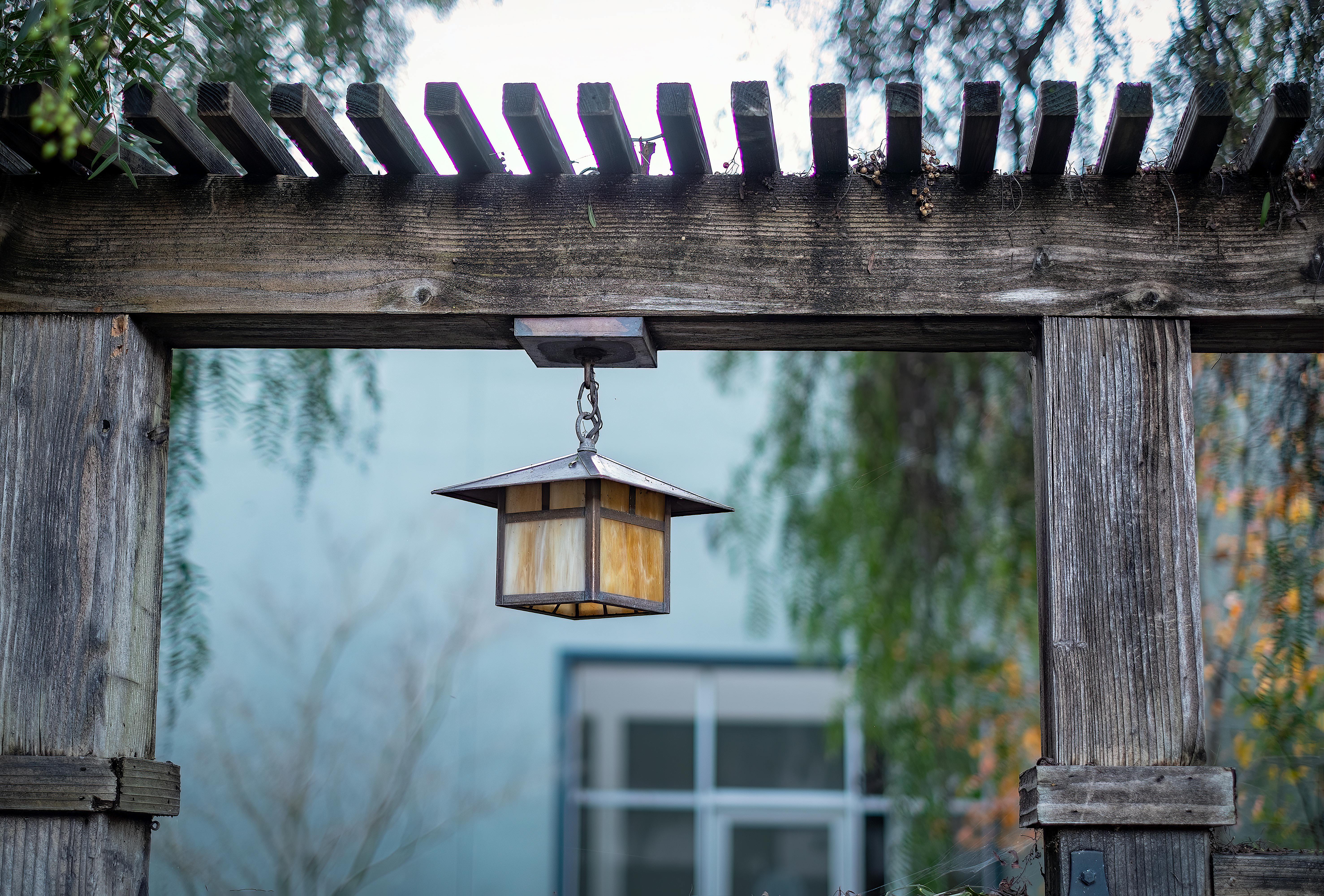 A Lamp Hanging from an Arbor · Free Stock Photo