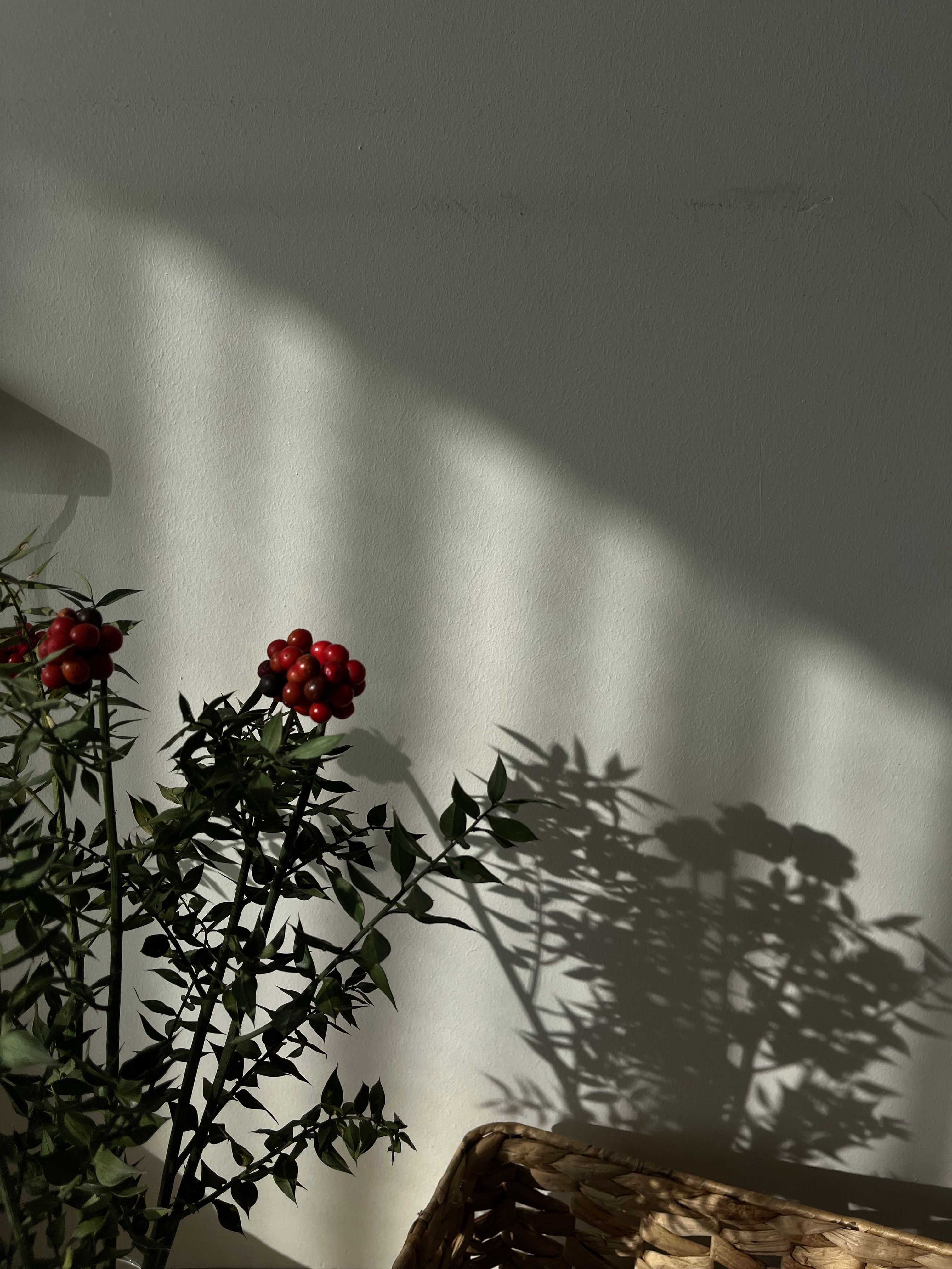 White wall with sunlight and shadow · Free Stock Photo