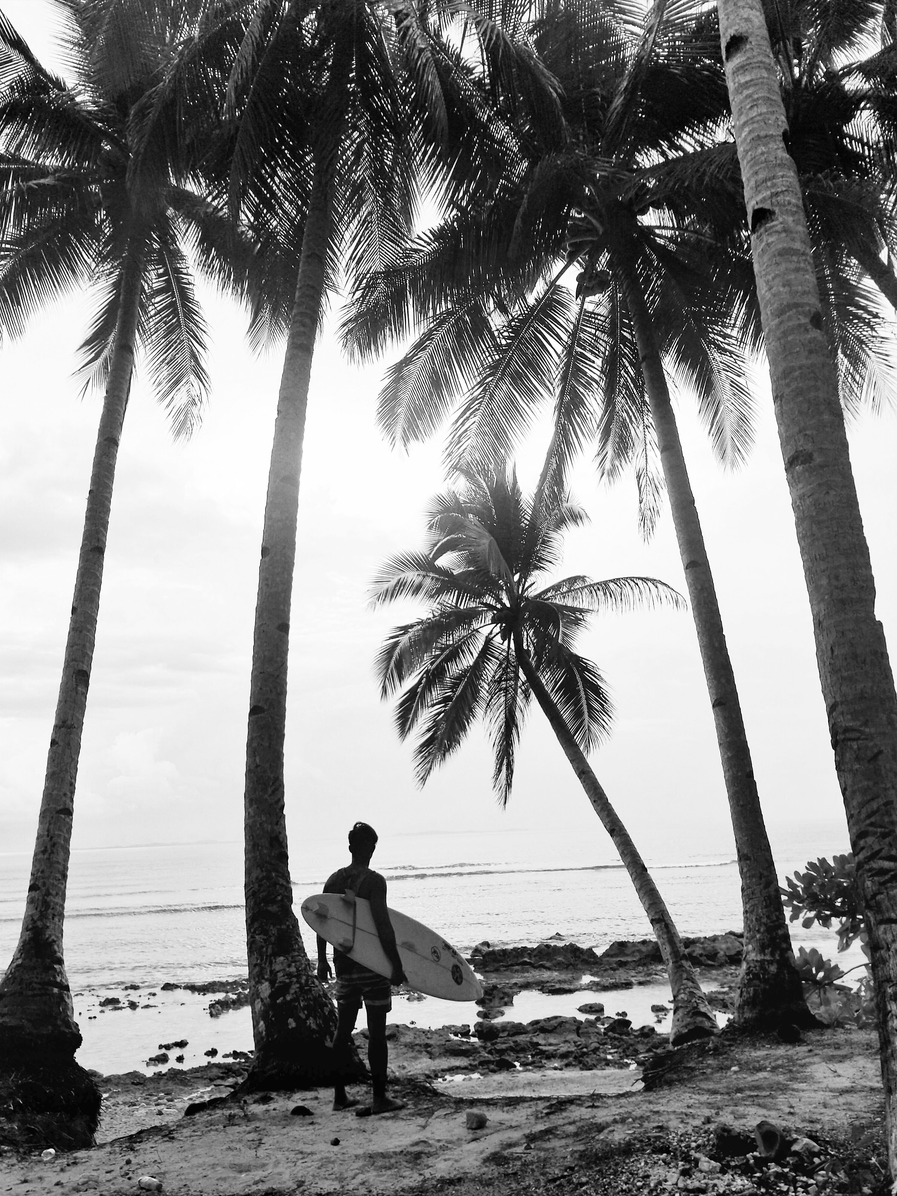 Surfer Standing Among Palm Trees Looking at the Sea · Free Stock Photo