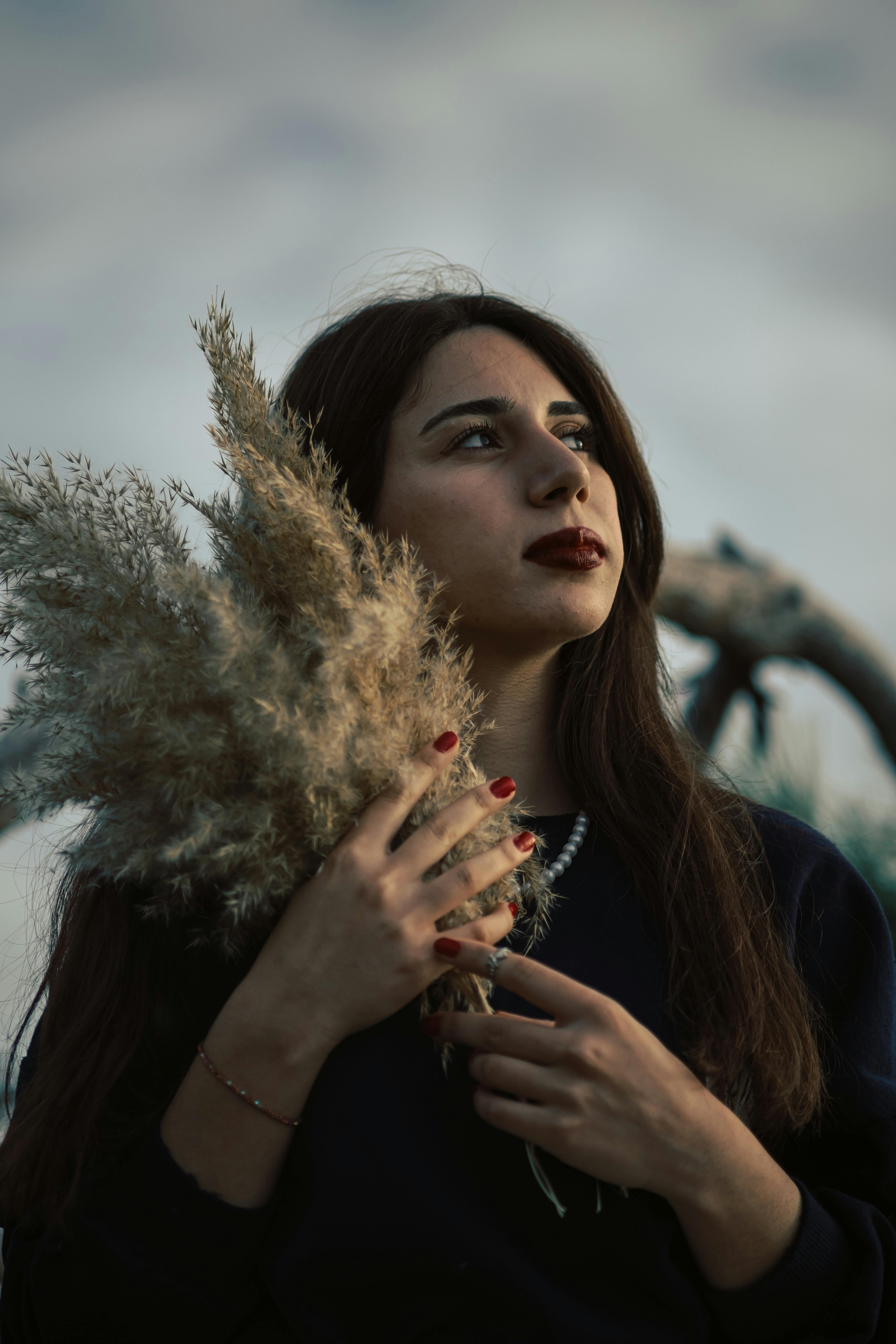 Spikes Photos, Download The BEST Free Spikes Stock Photos & HD Images