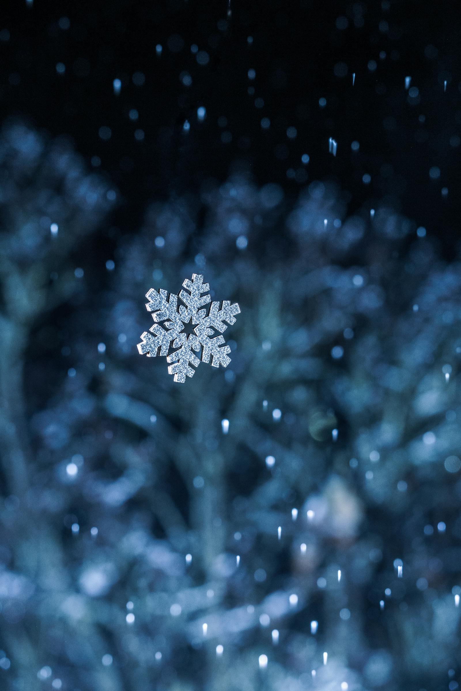 Snowflake Falling Photos, Download The BEST Free Snowflake Falling ...