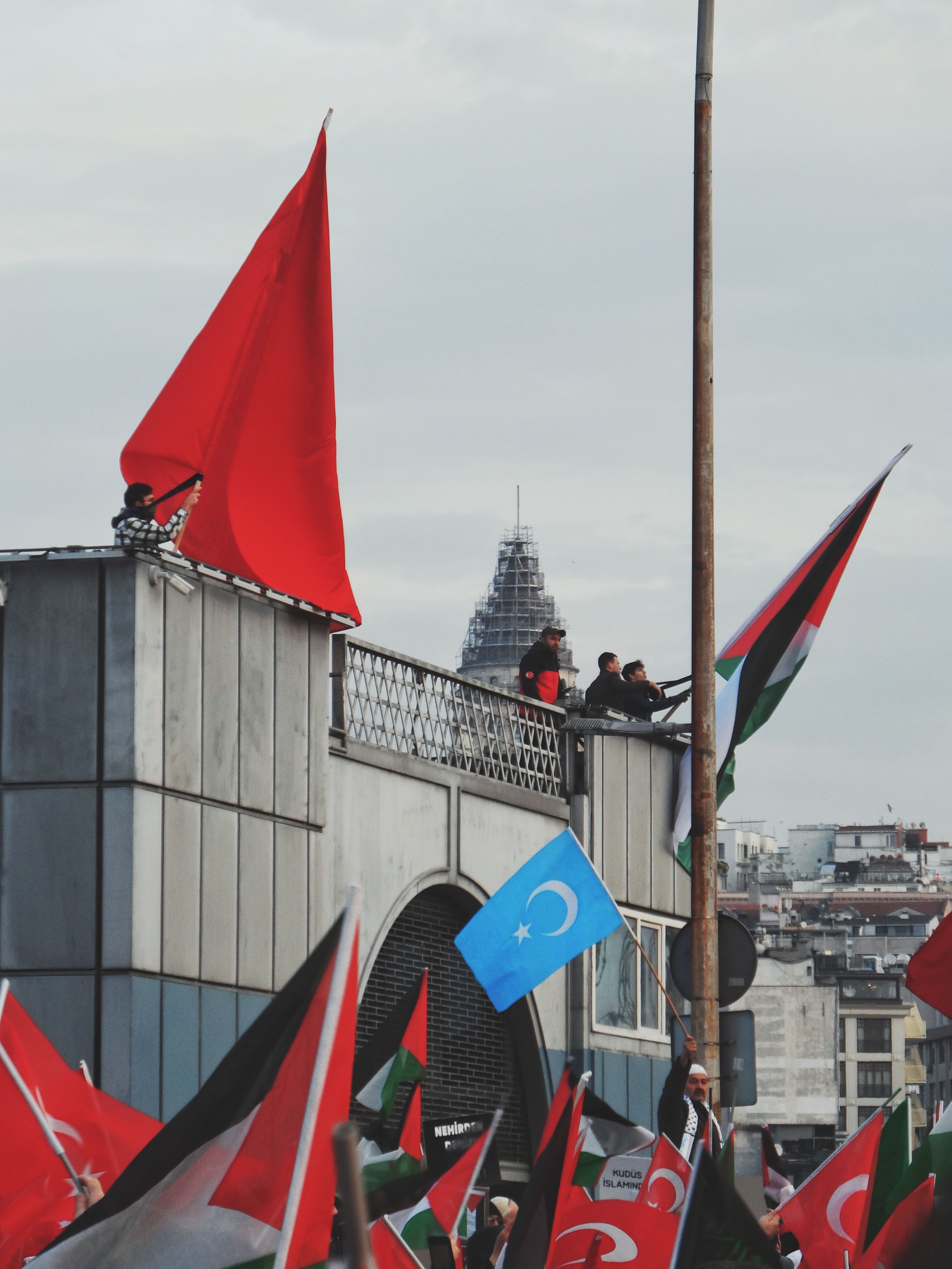 Palestine Photos, Download The BEST Free Palestine Stock Photos & HD Images