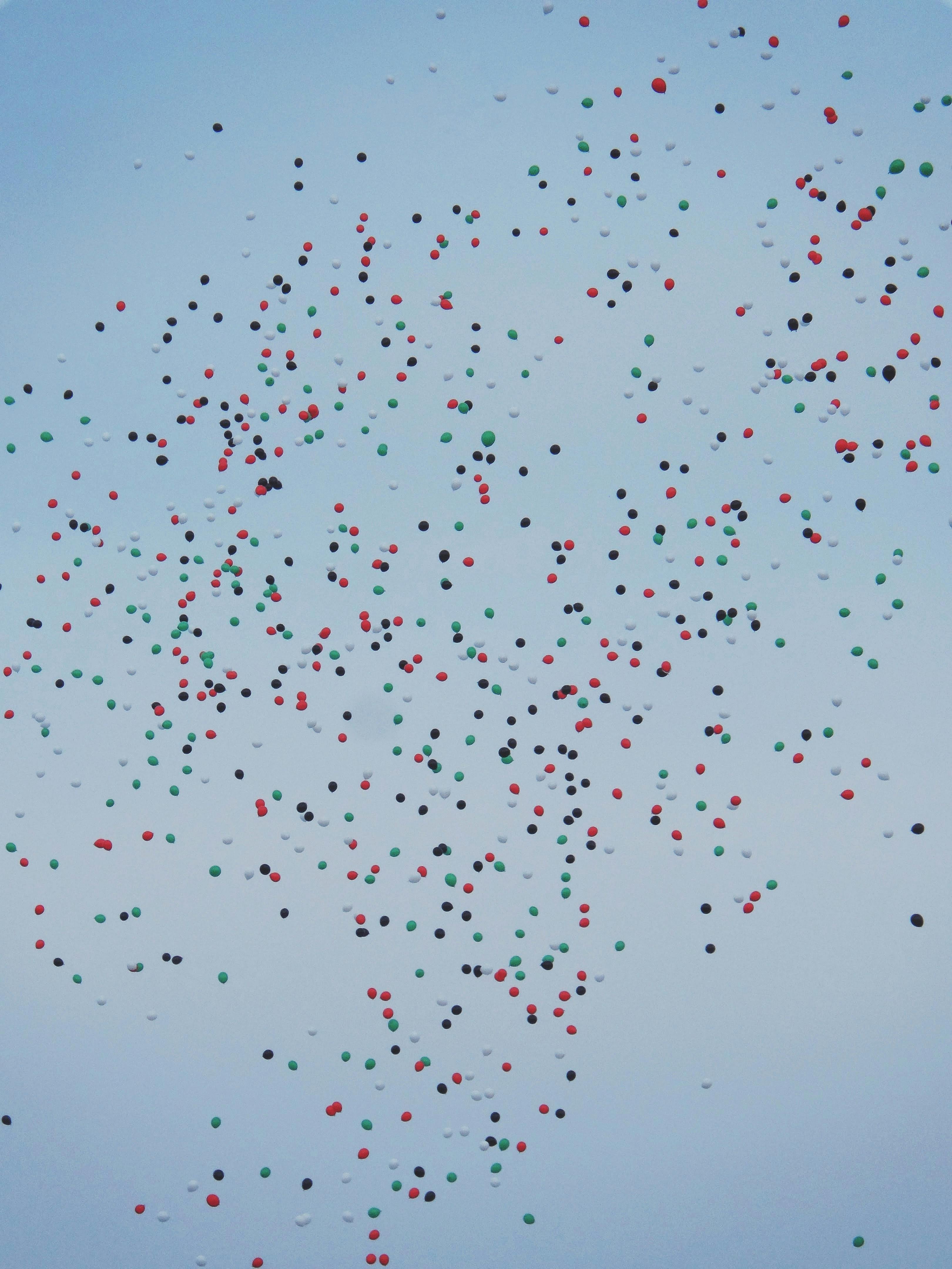 Gaza Photos, Download The BEST Free Gaza Stock Photos & HD Images