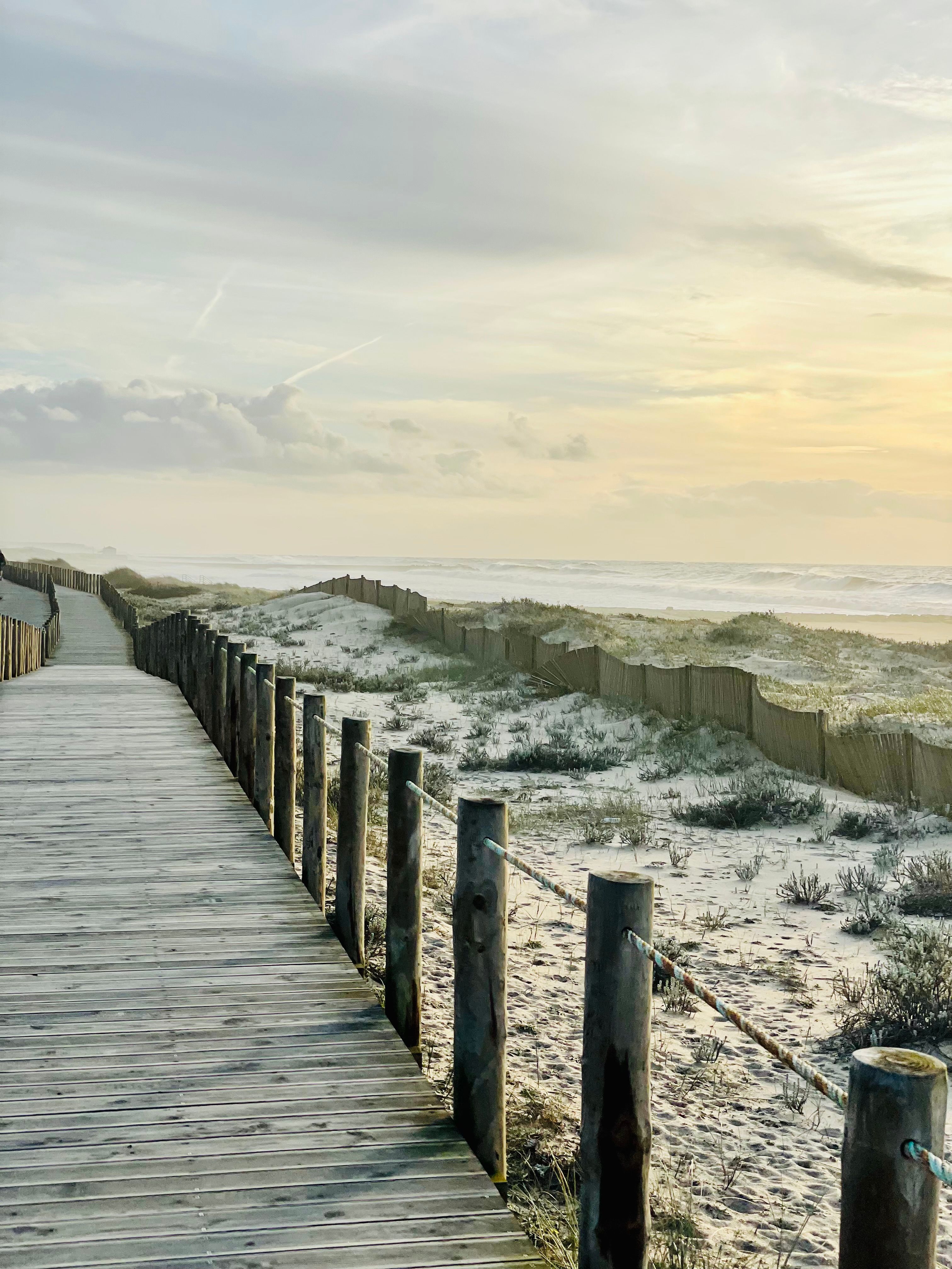 Fence Along Wooden Boardwalk on Beach · Free Stock Photo