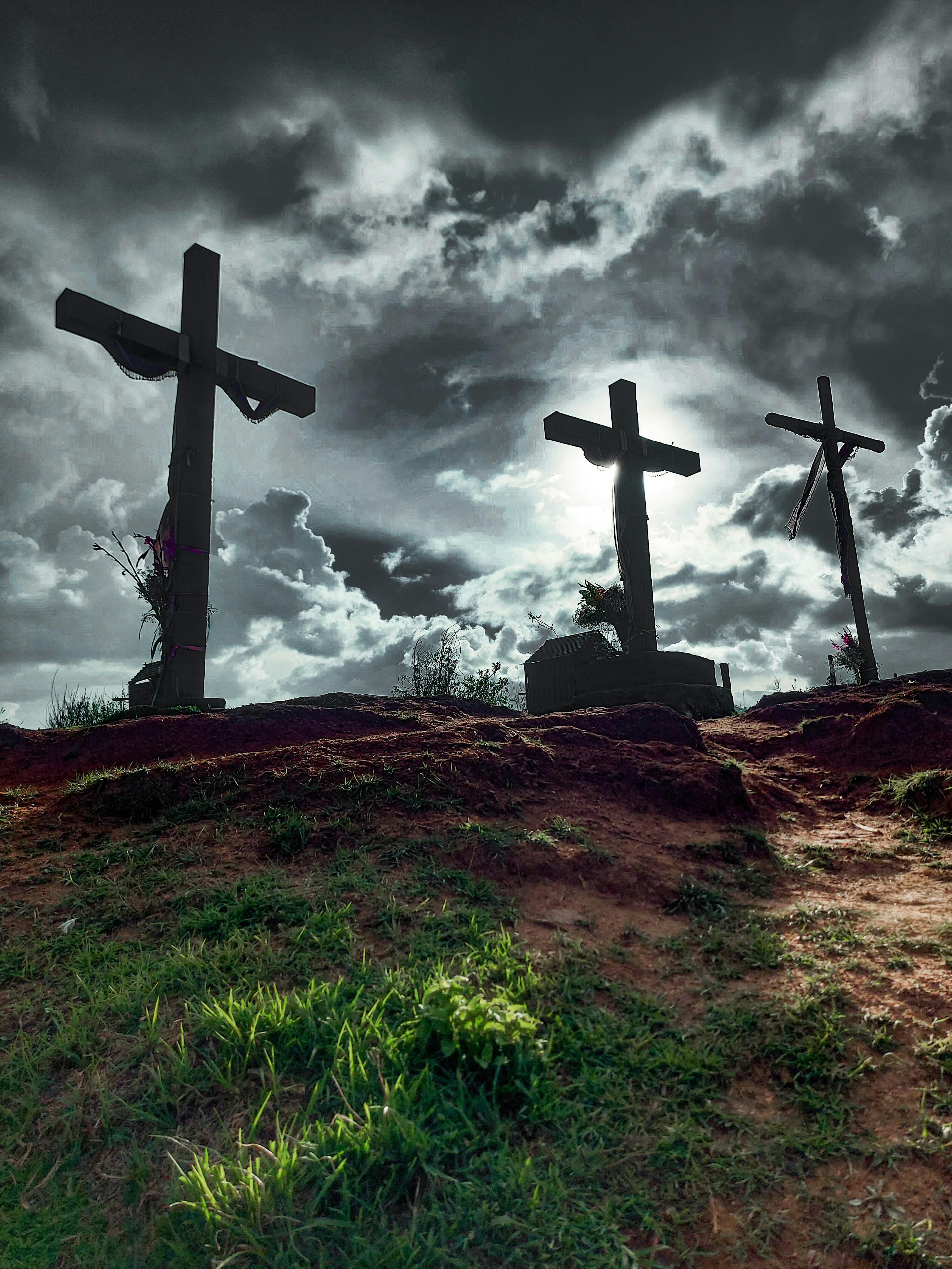 Lidia Sanchez Valenzuela - Fotografie