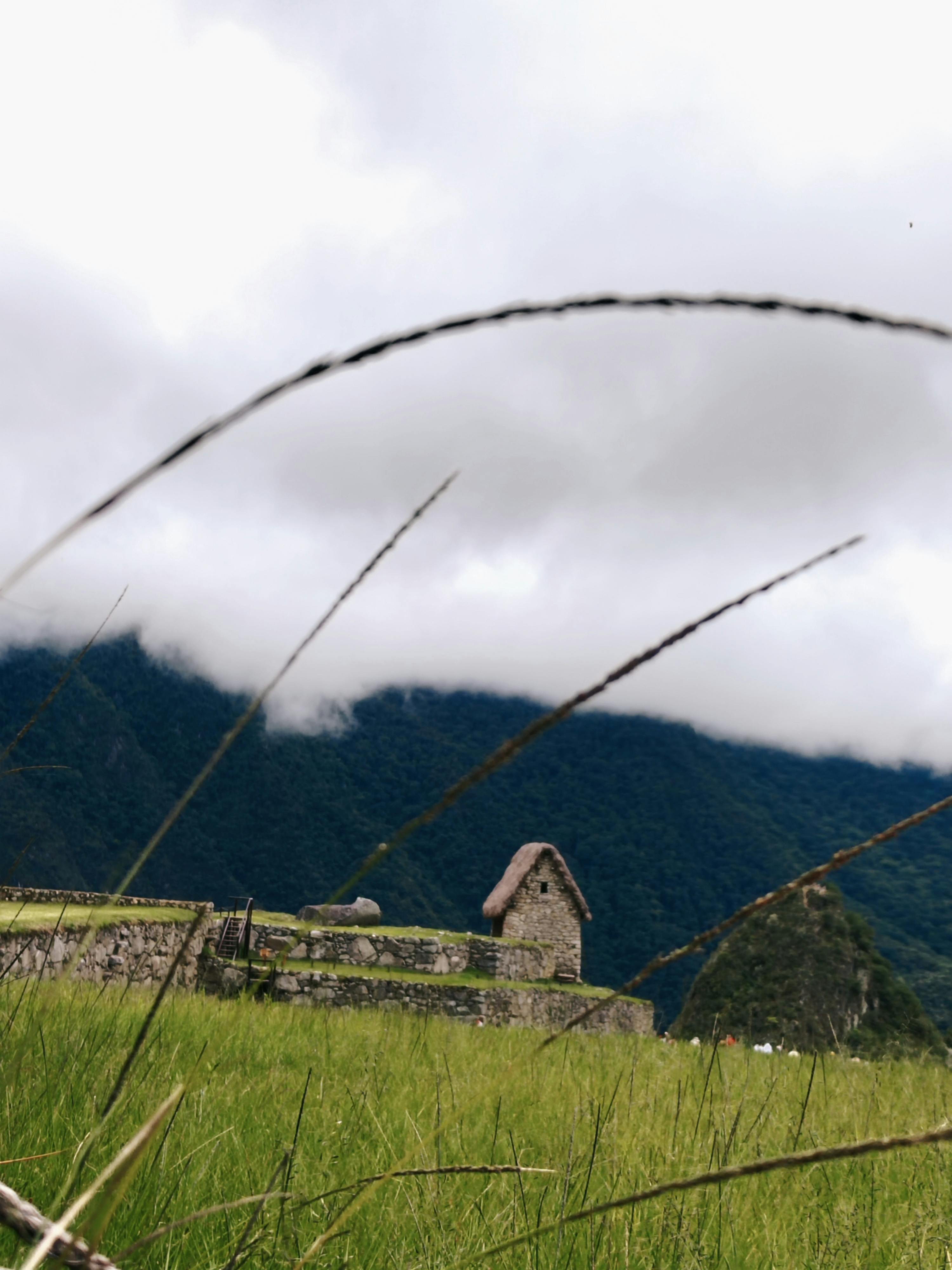 Lidia Sanchez Valenzuela - Fotografie