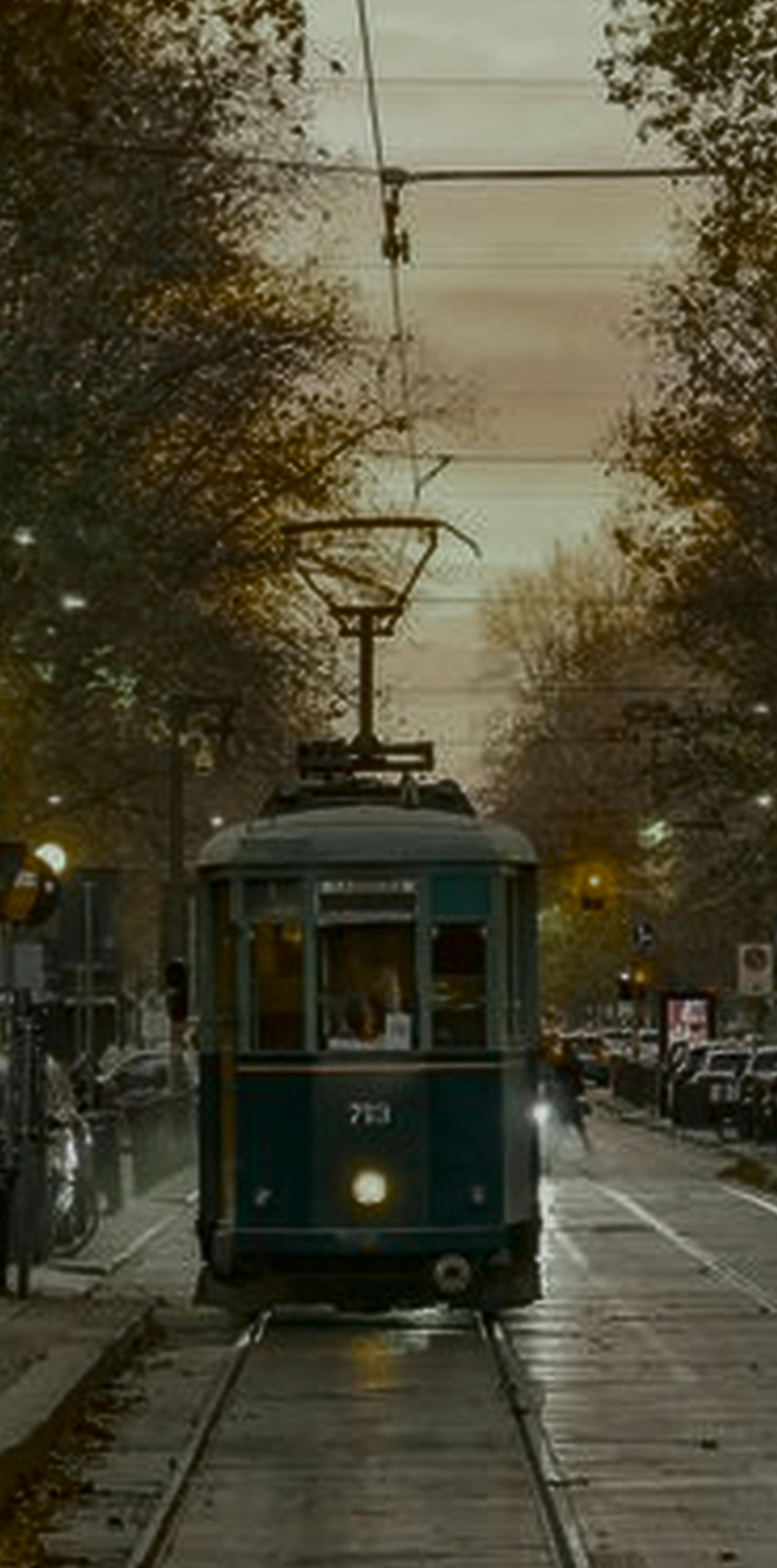 James Ranieri - 攝影