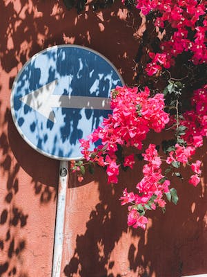 Street Sign Photos, Download The BEST Free Street Sign Stock Photos ...
