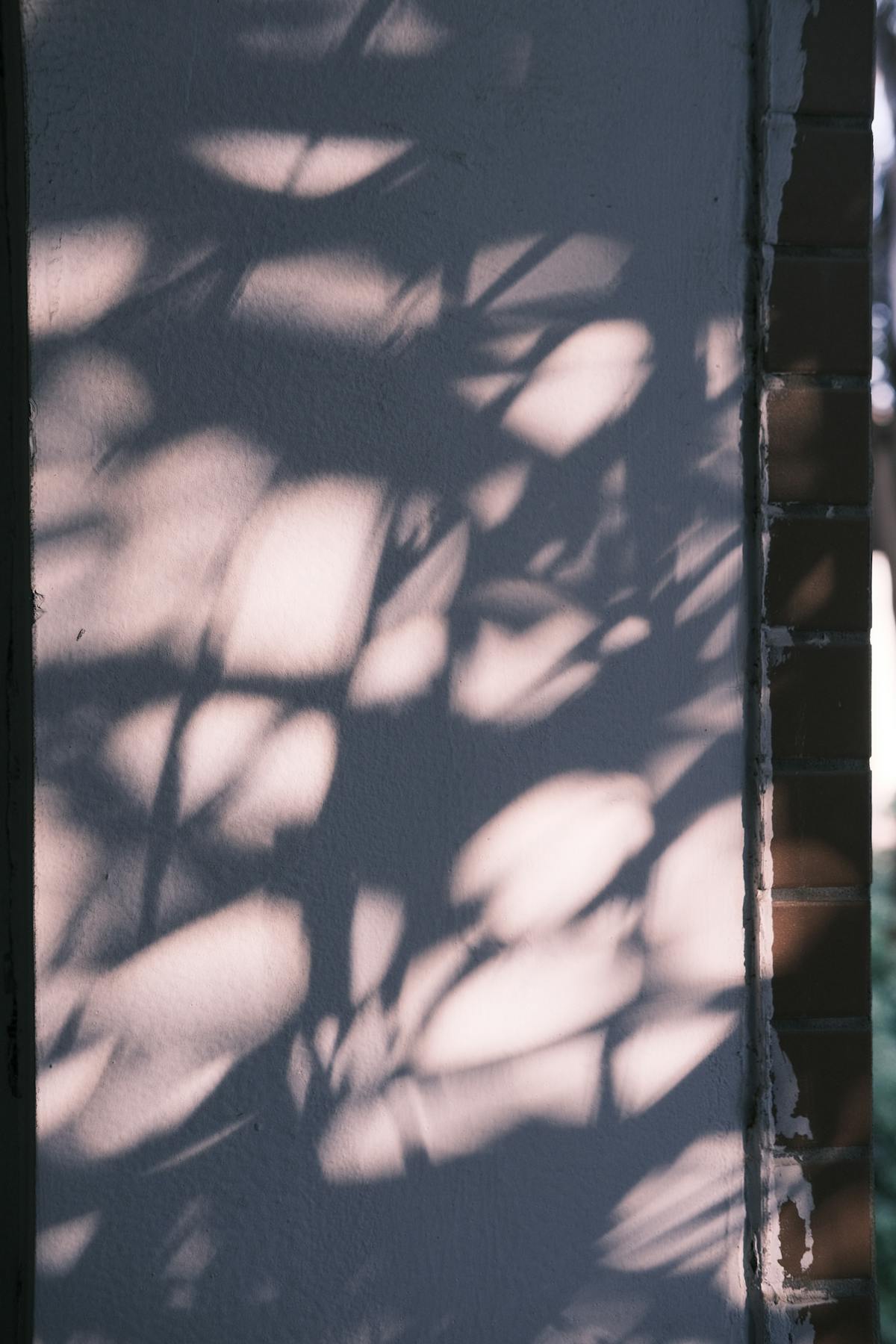 Tac Wall Photos, Download The BEST Free Tac Wall Stock Photos & HD Images