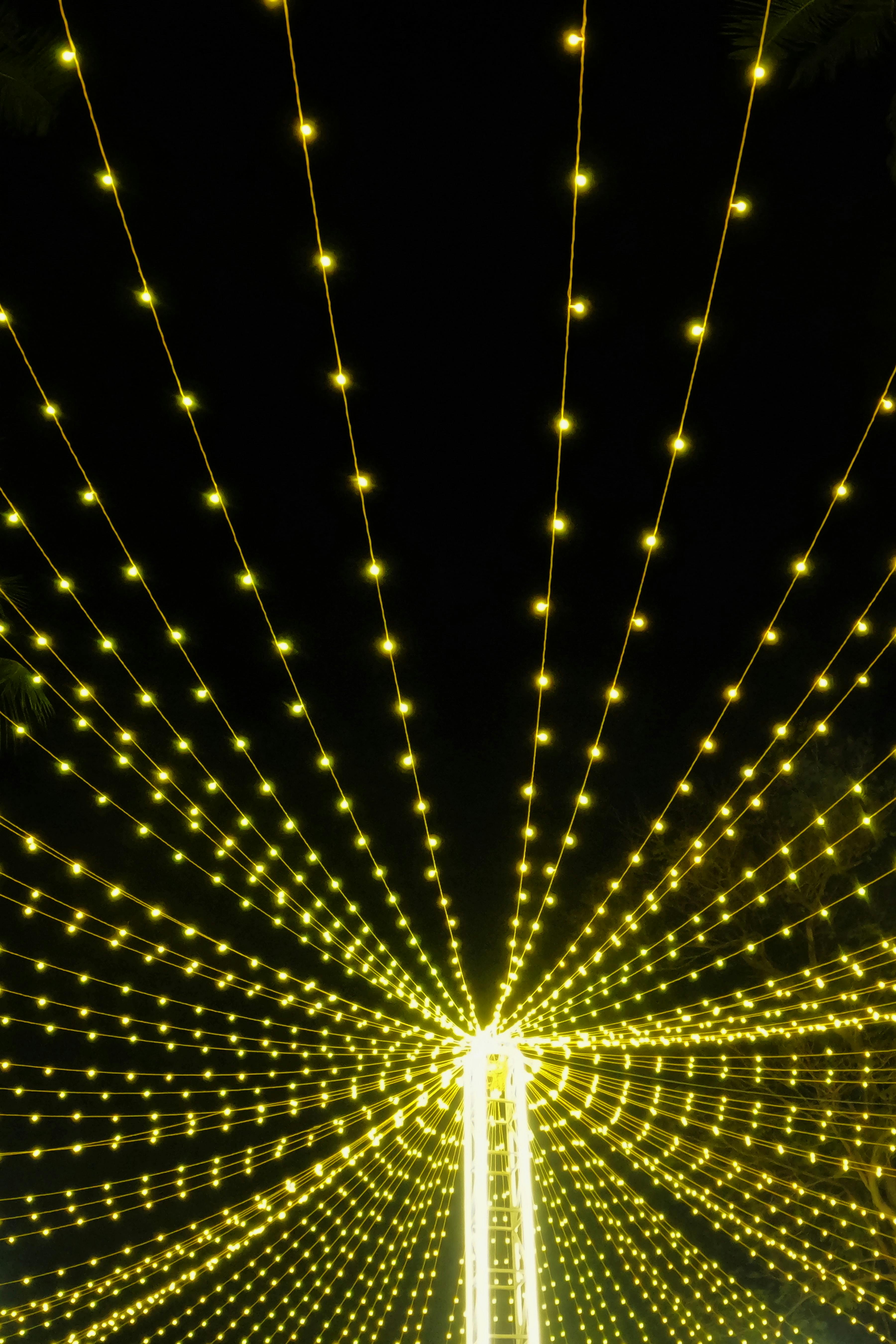 Yellow String Lights Decoration · Free Stock Photo