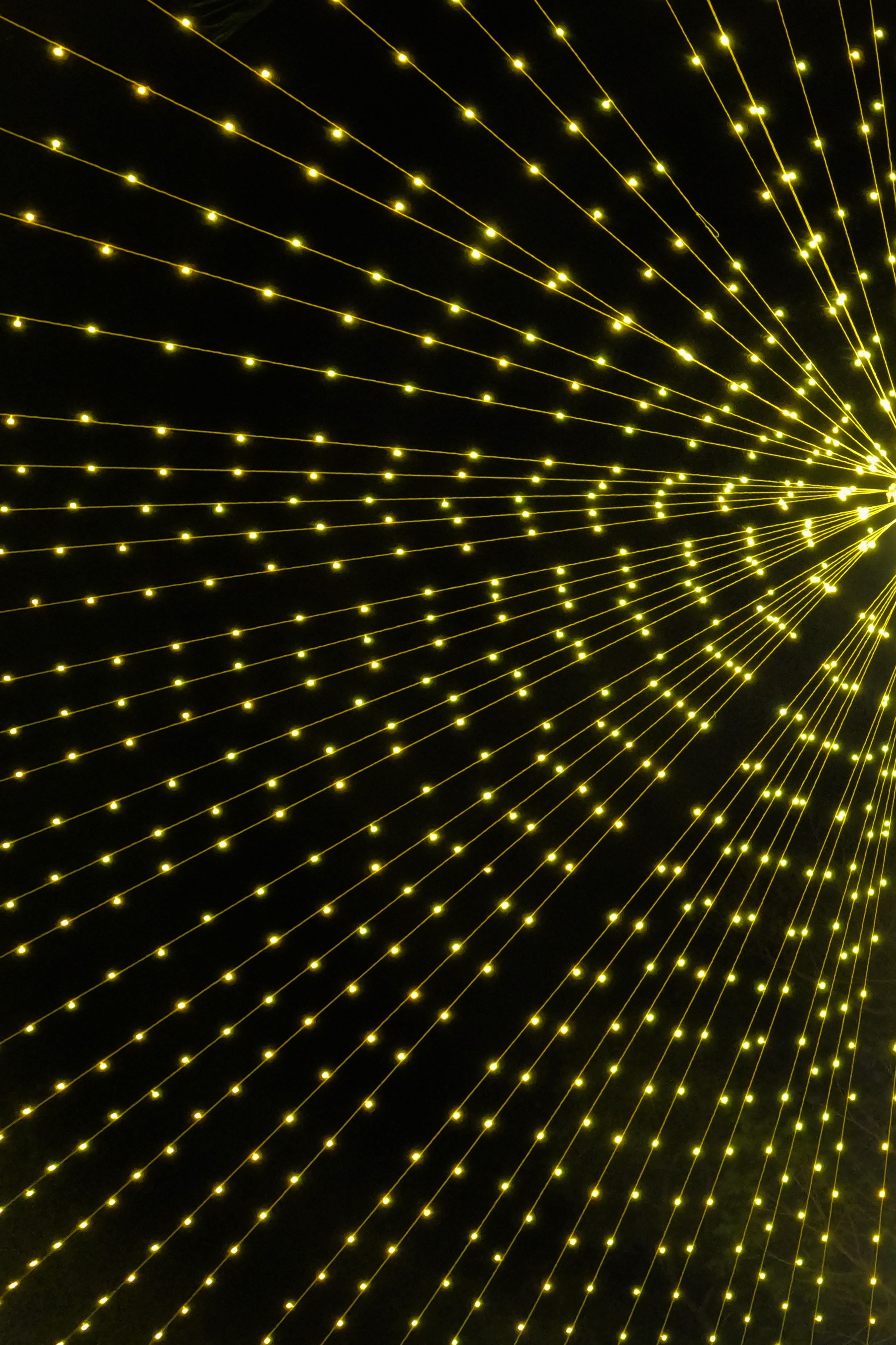 Yellow Lights on the Zilker Holiday Tree in Austin in Texas · Free ...