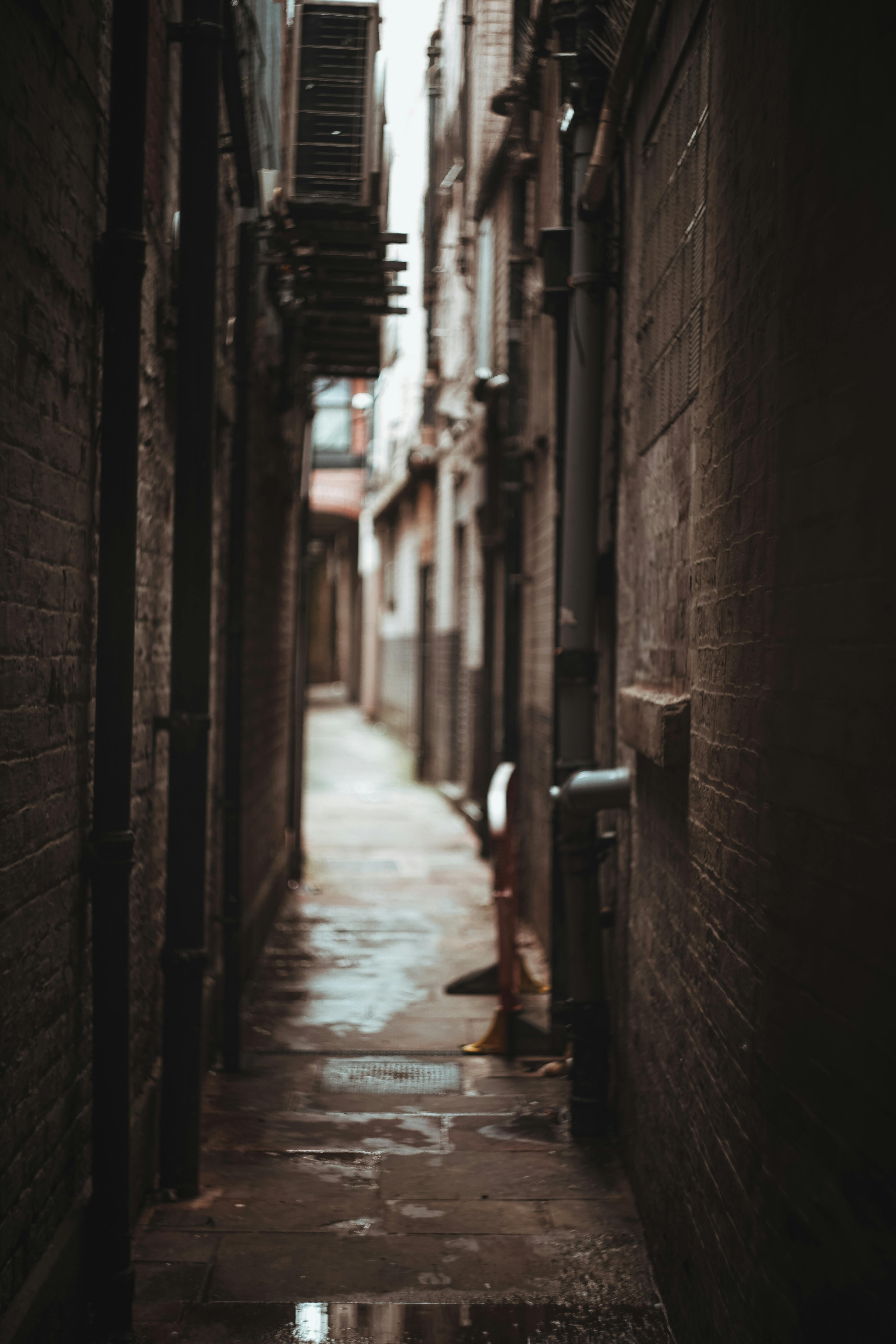 Puddles on the Narrow Walkway Between Buildings · Free Stock Photo