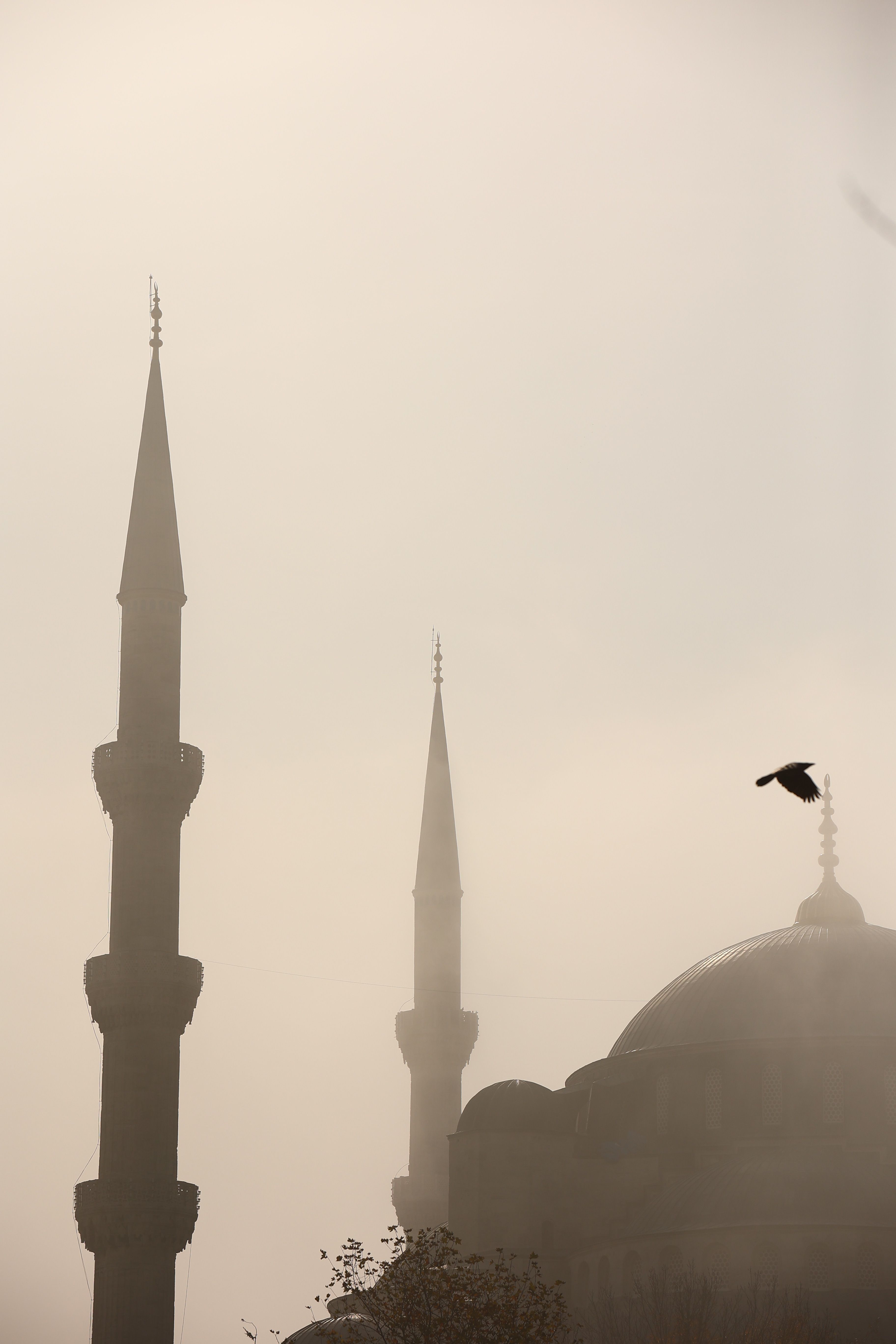 Bird Flying over the Mosque on a Foggy Morning · Free Stock Photo