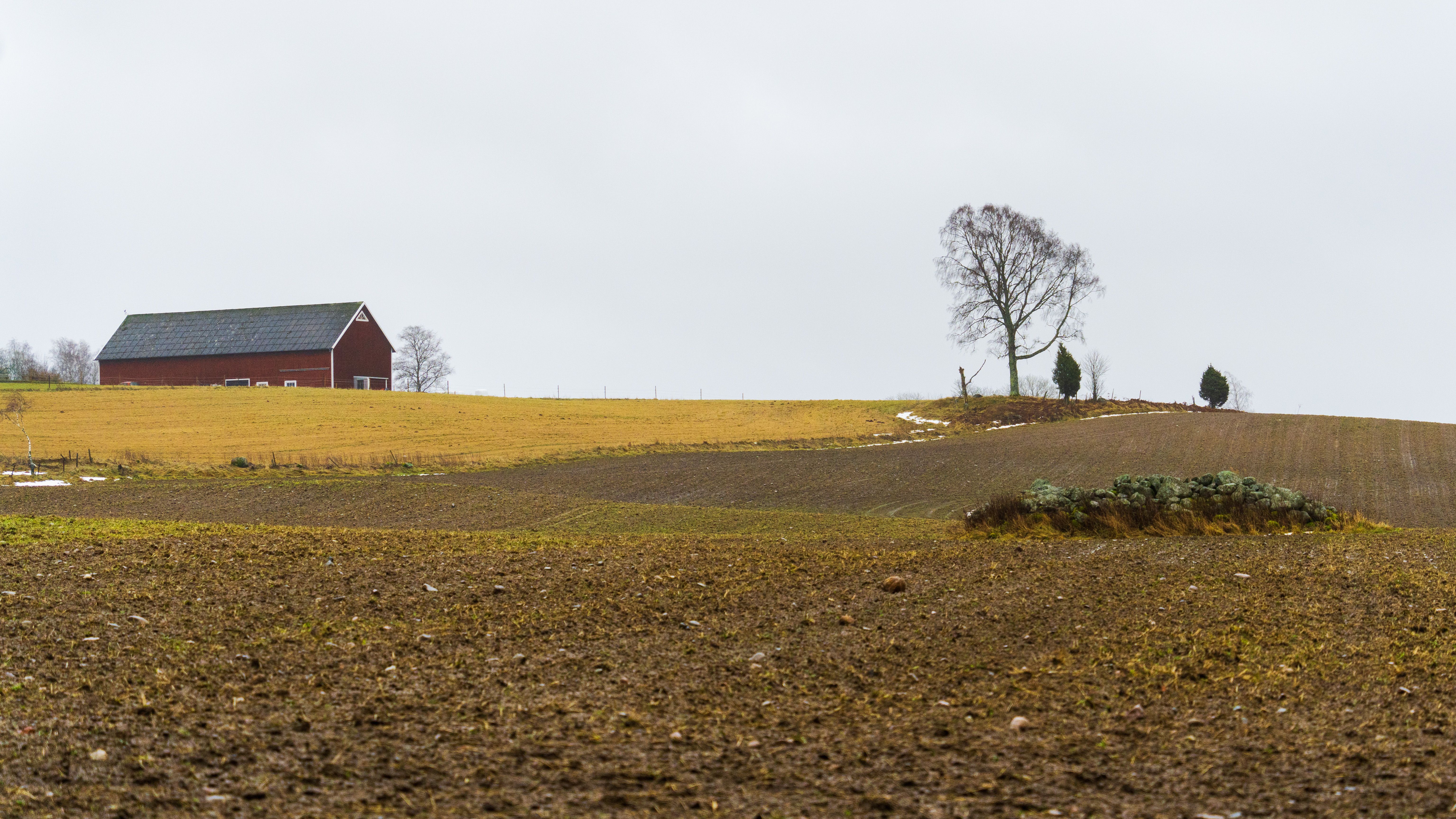 Rural Field on Farm · Free Stock Photo