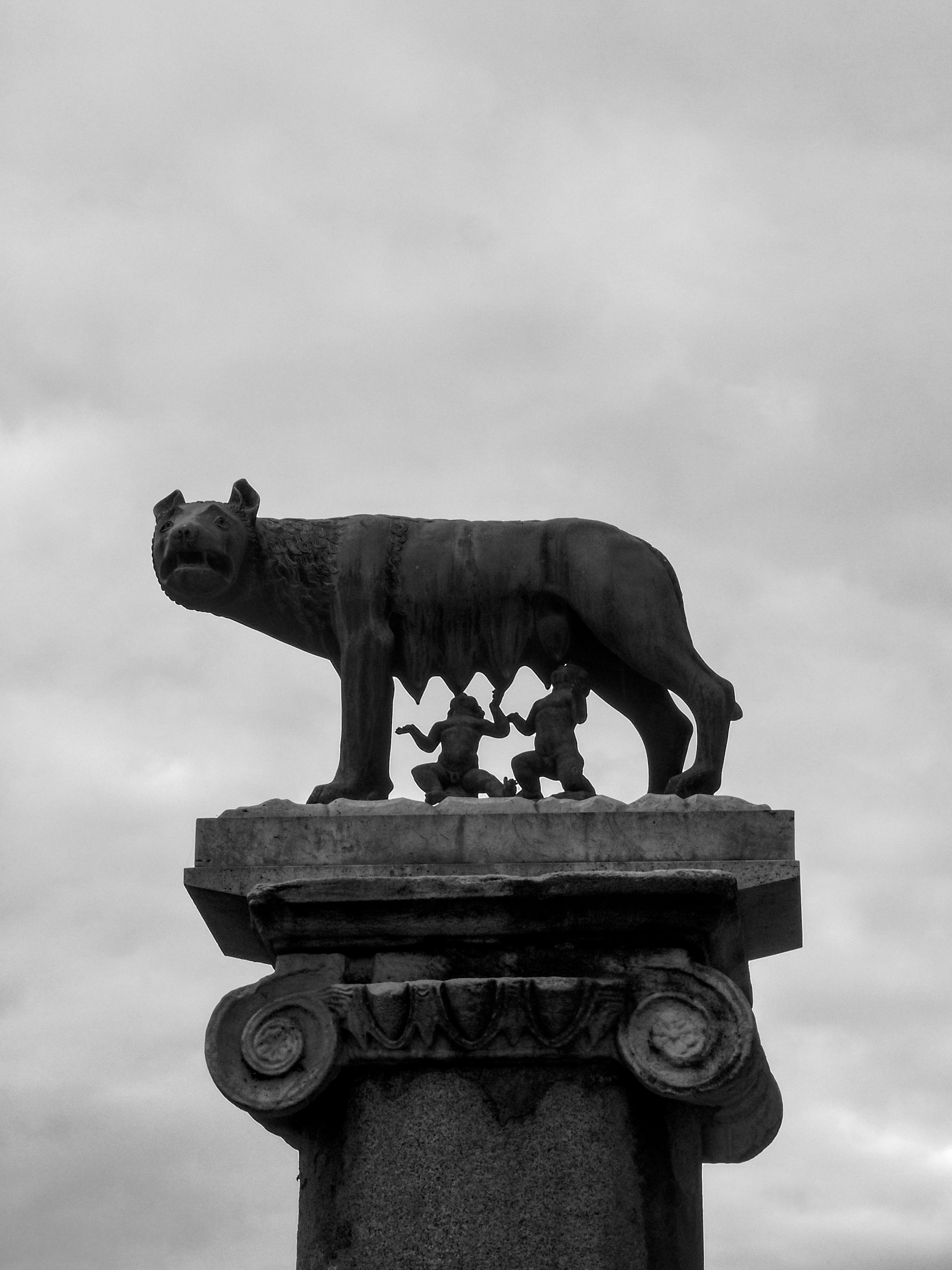 Capitoline Wolf Monument in Rome, Italy · Free Stock Photo