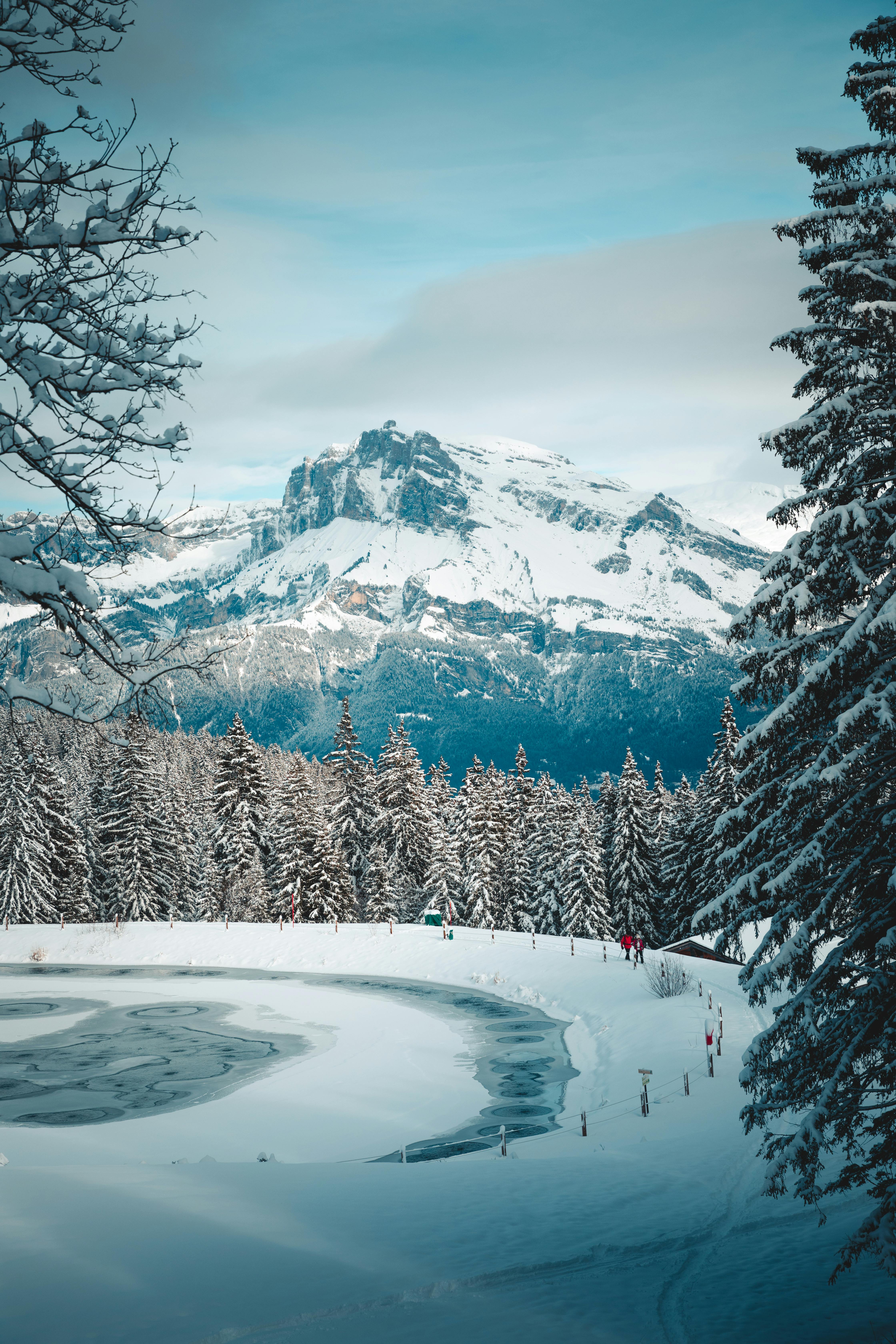 Snow Falling Photos, Download The BEST Free Snow Falling Stock Photos ...