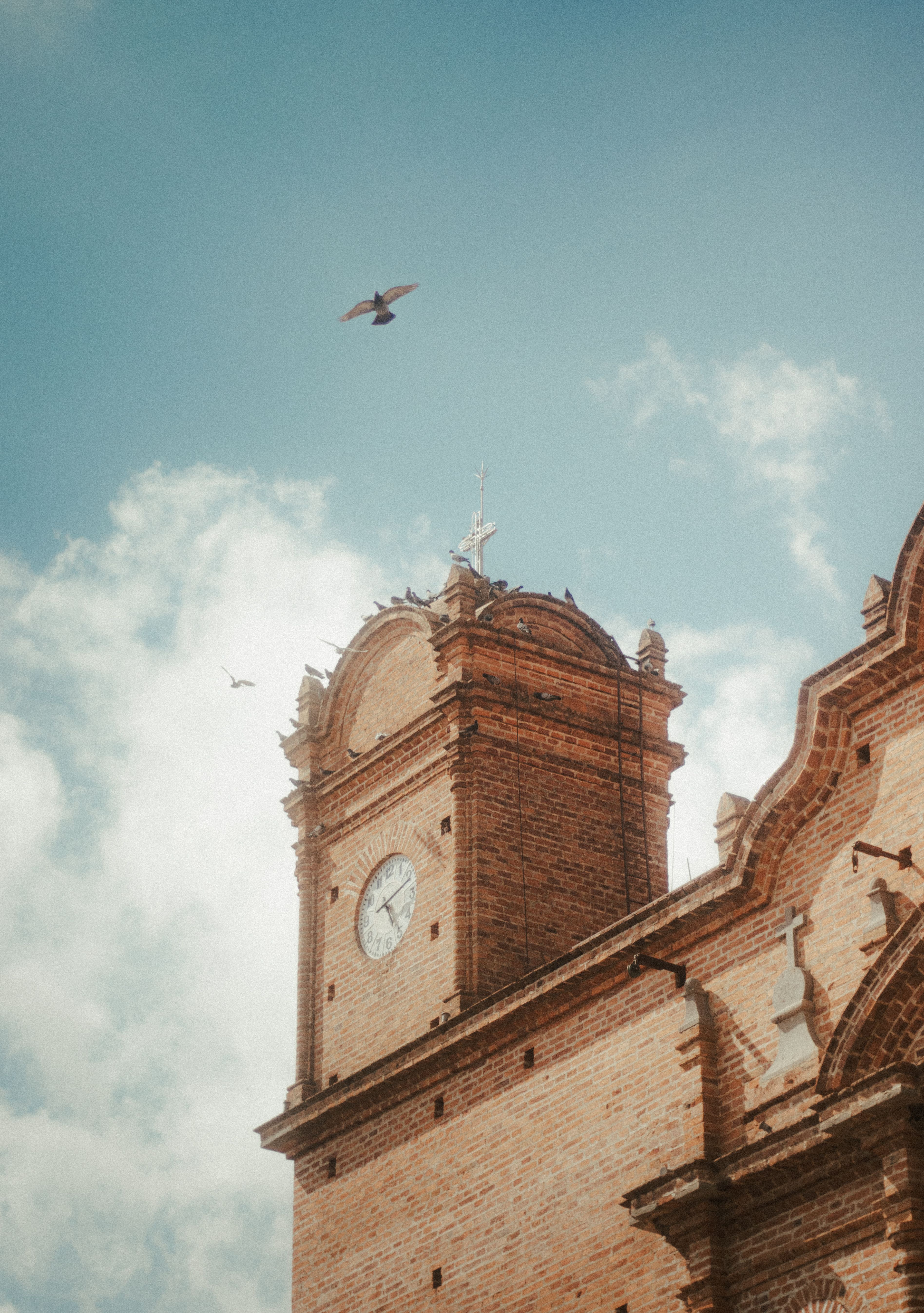 Bird Flying over a Clock Tower in Tapalpa, Mexico · Free Stock Photo