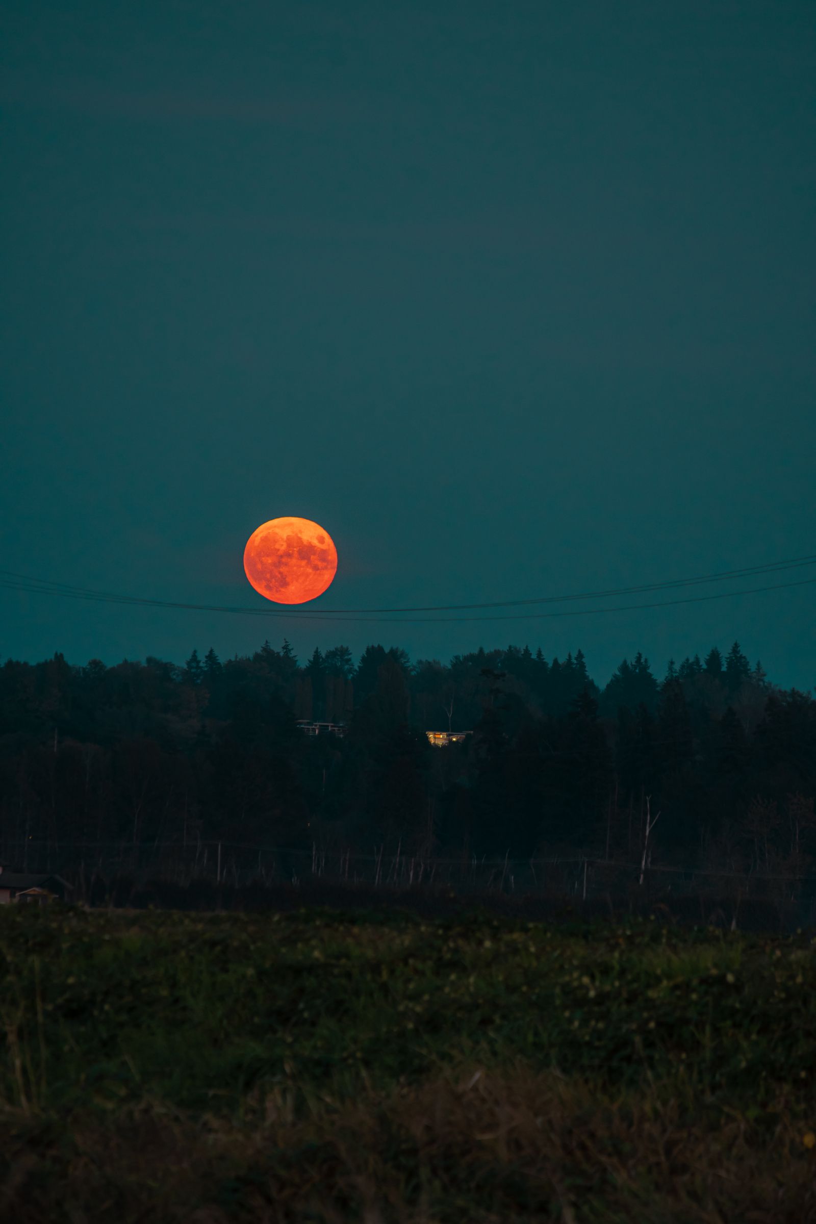 Red Moon Photos, Download The BEST Free Red Moon Stock Photos & HD Images