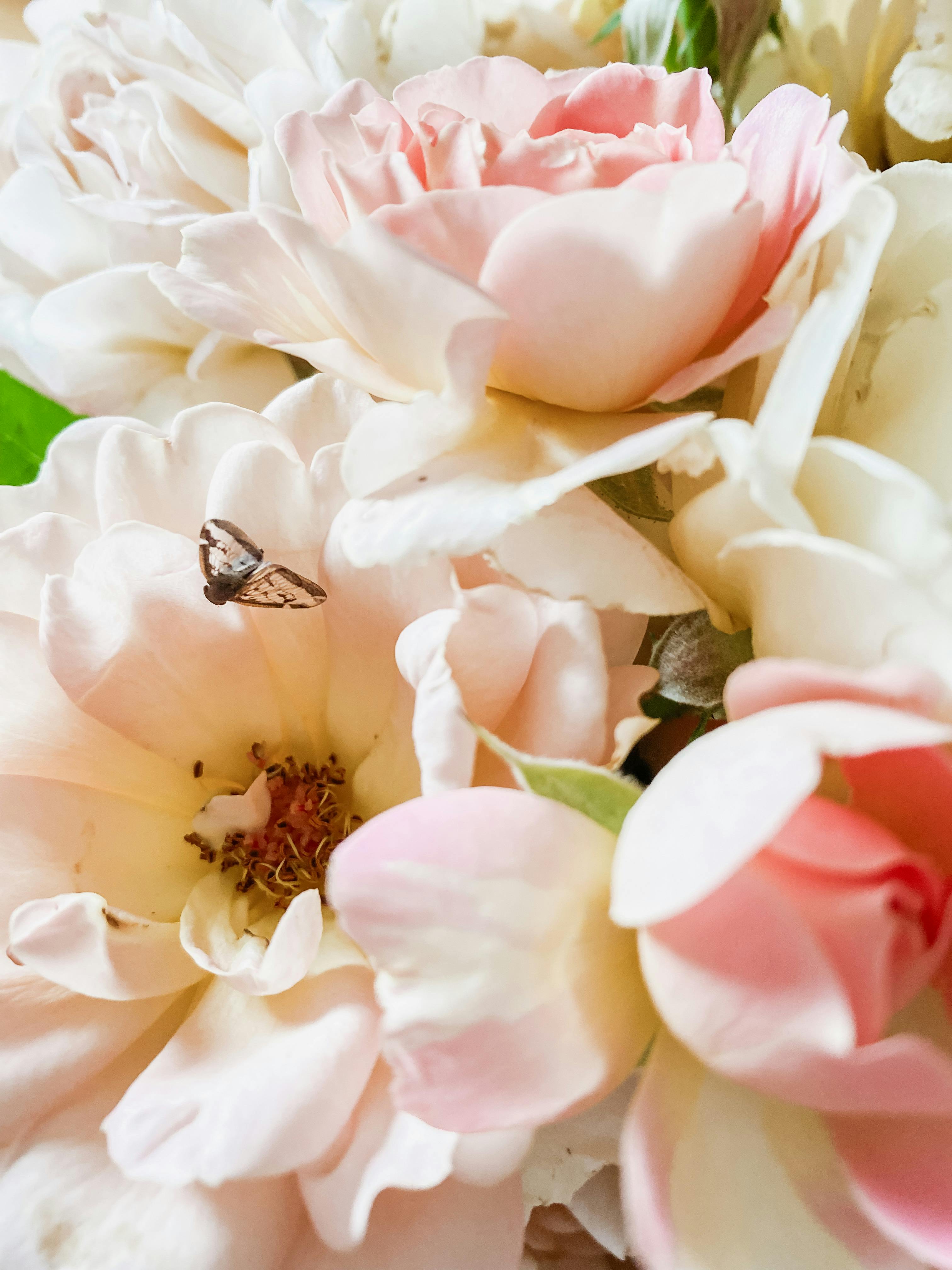 Studio Naae - Photography