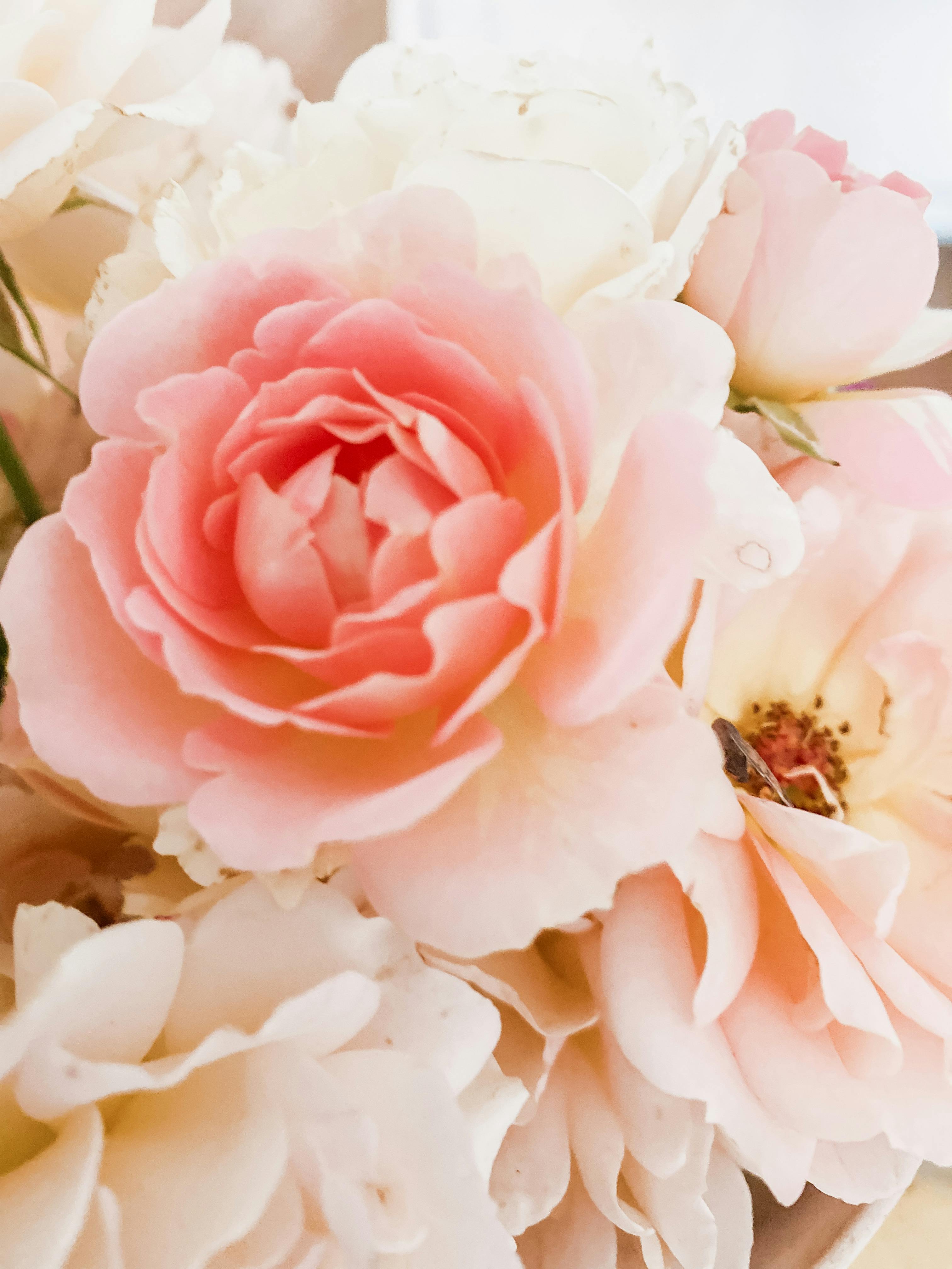 Studio Naae - Photography