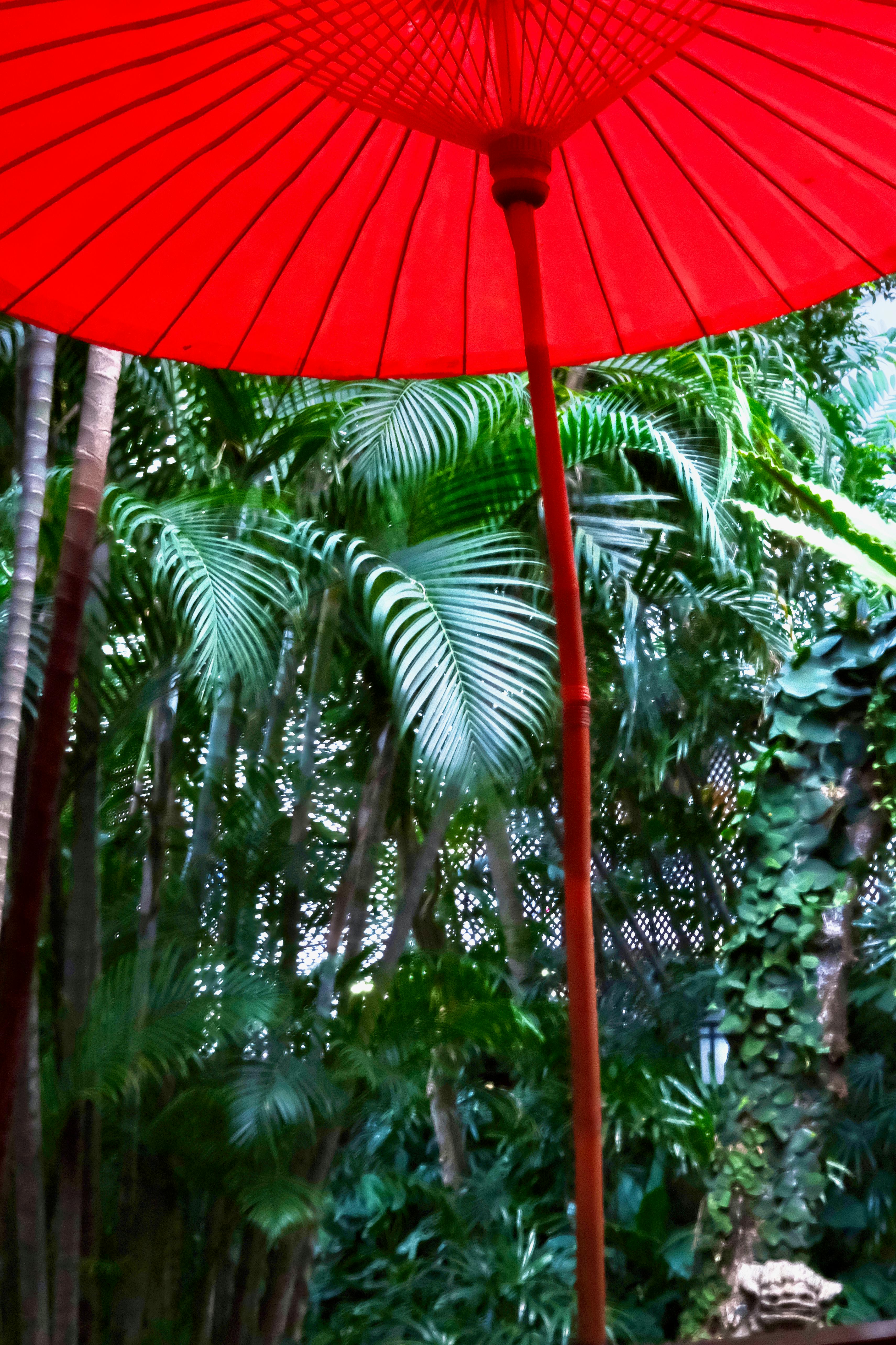 Kate Branch - Photography