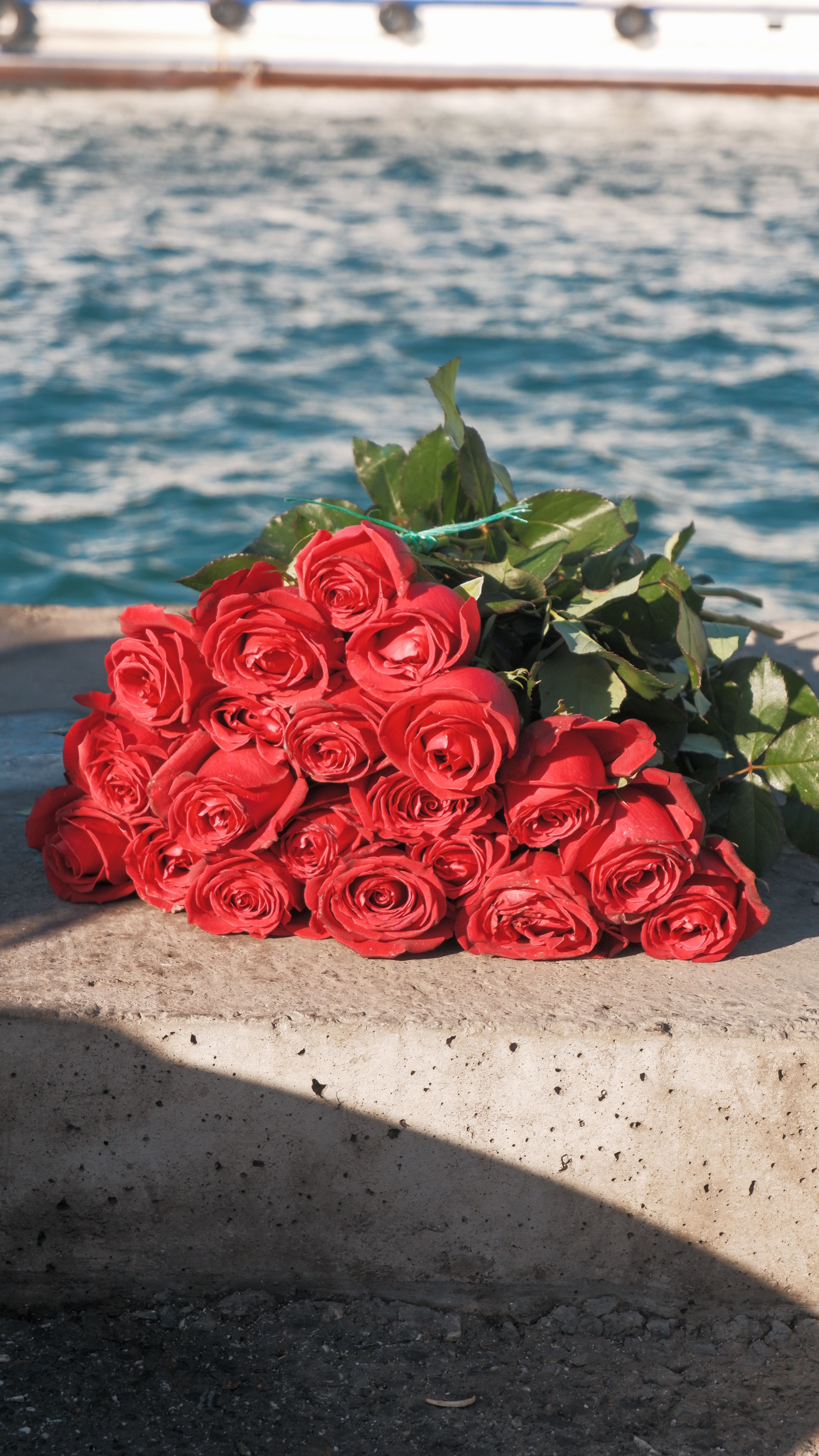Bouquet of Roses Standing By the Pool · Free Stock Photo