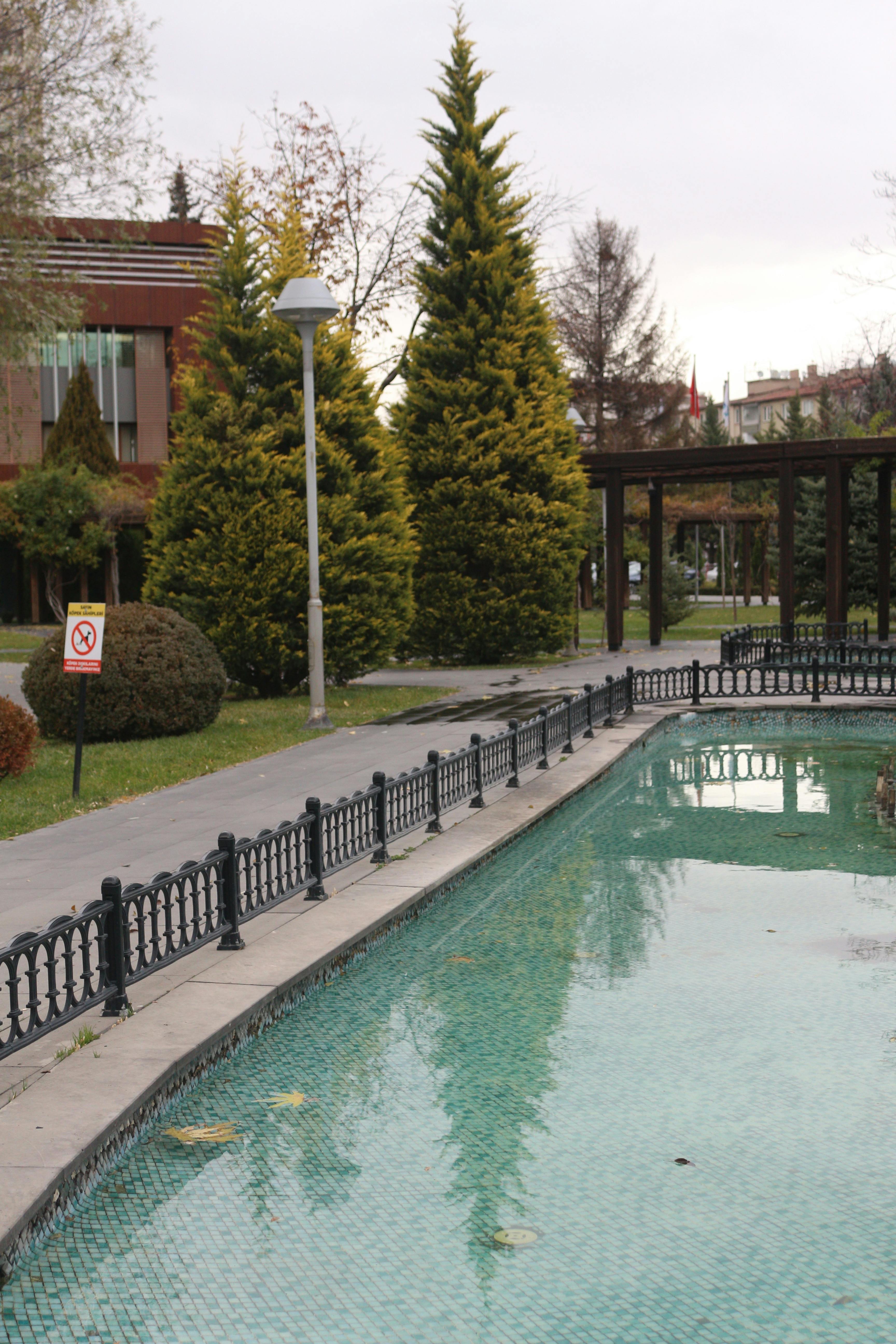Side of Pool with Buildings and Trees · Free Stock Photo