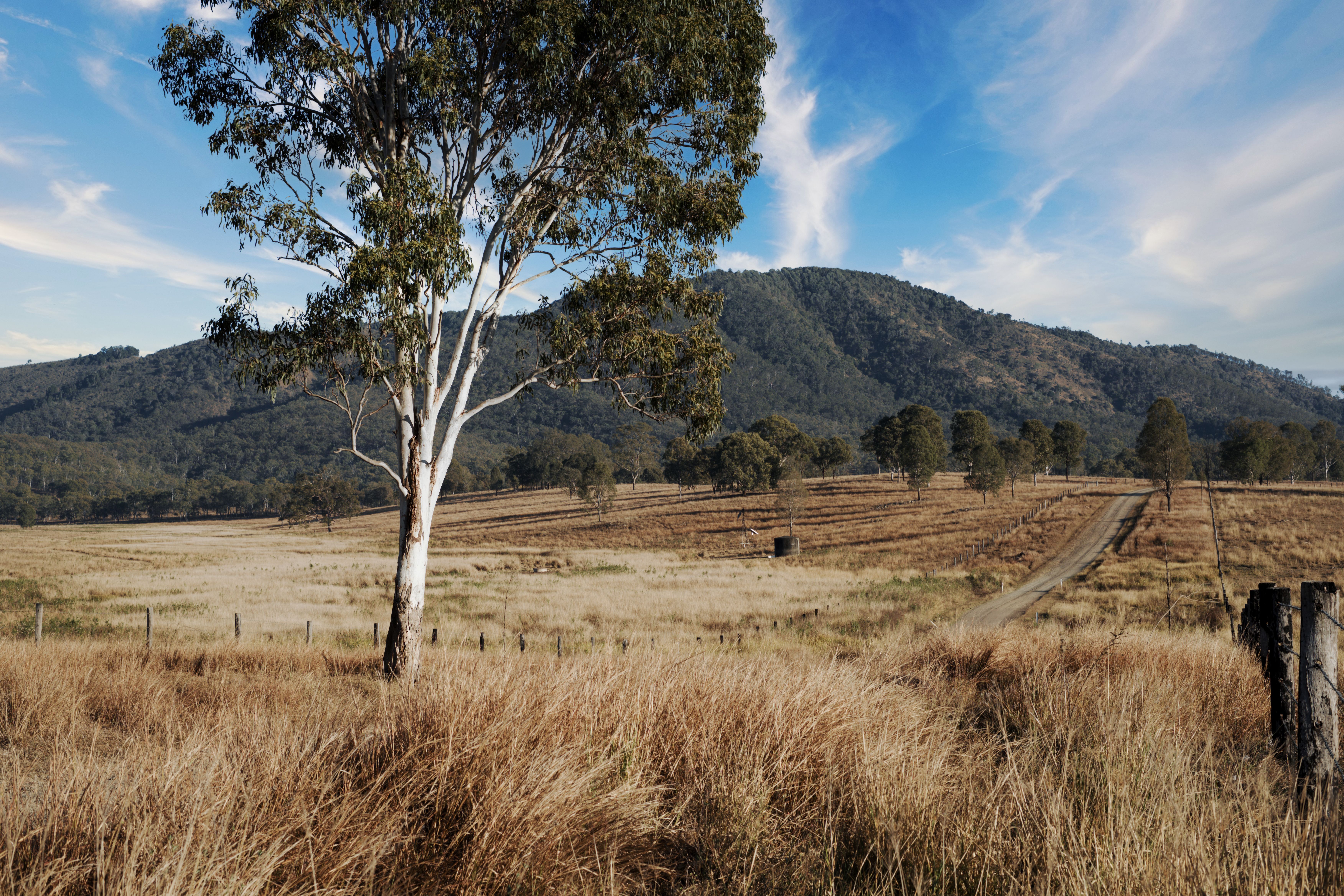 Road through Countryside · Free Stock Photo
