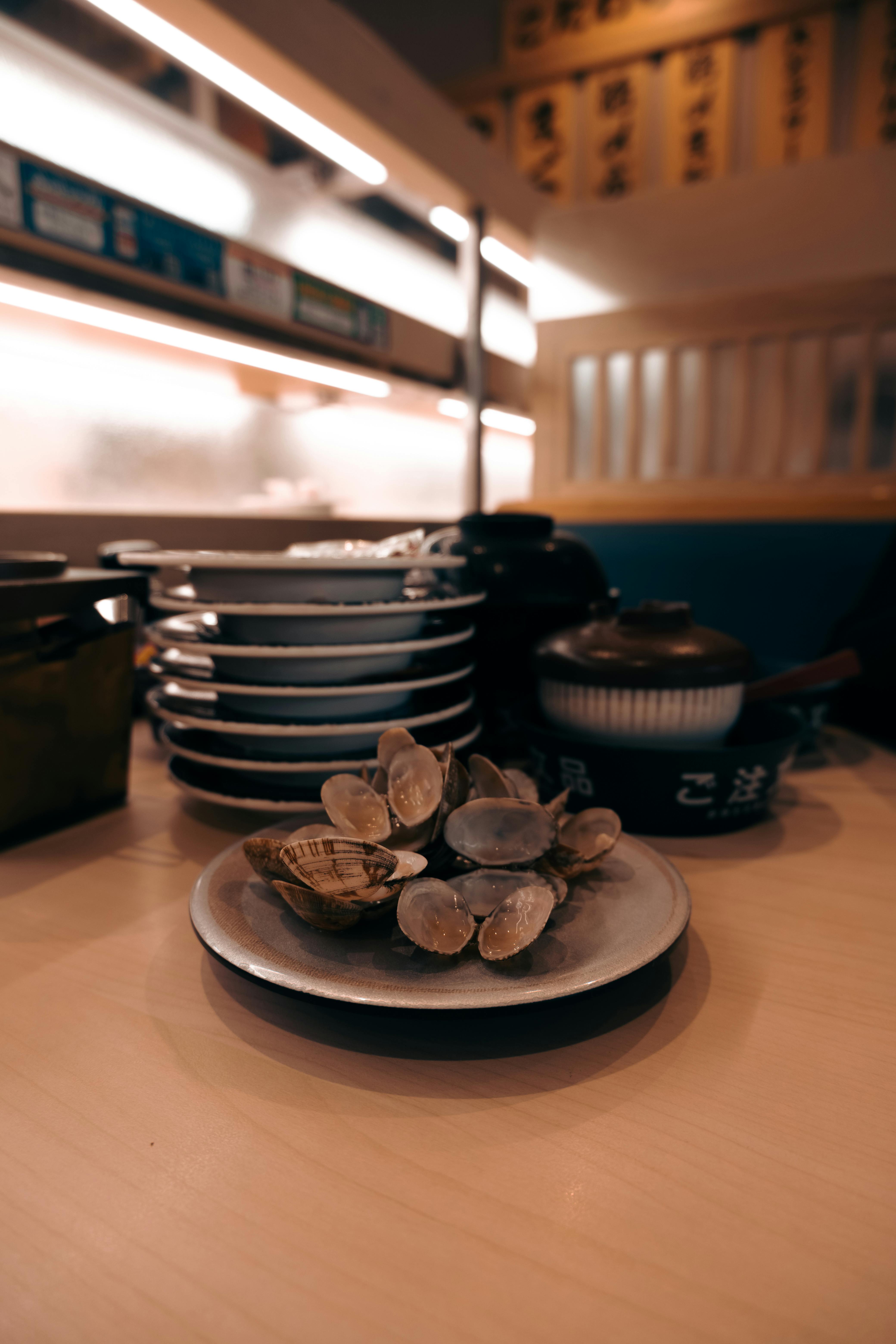 Japan Shells Photos, Download The BEST Free Japan Shells Stock Photos ...