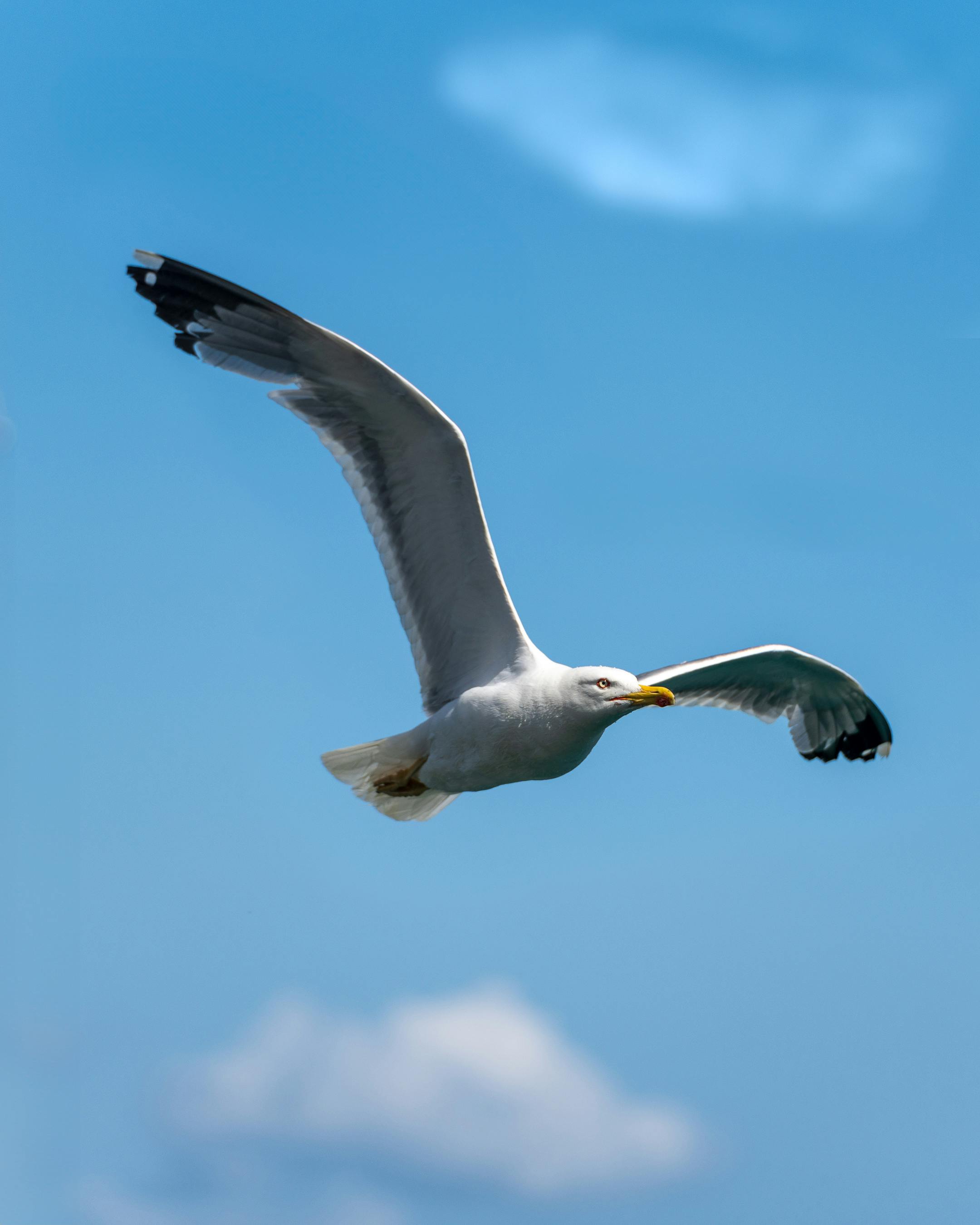 Matteo Parisi - Photography