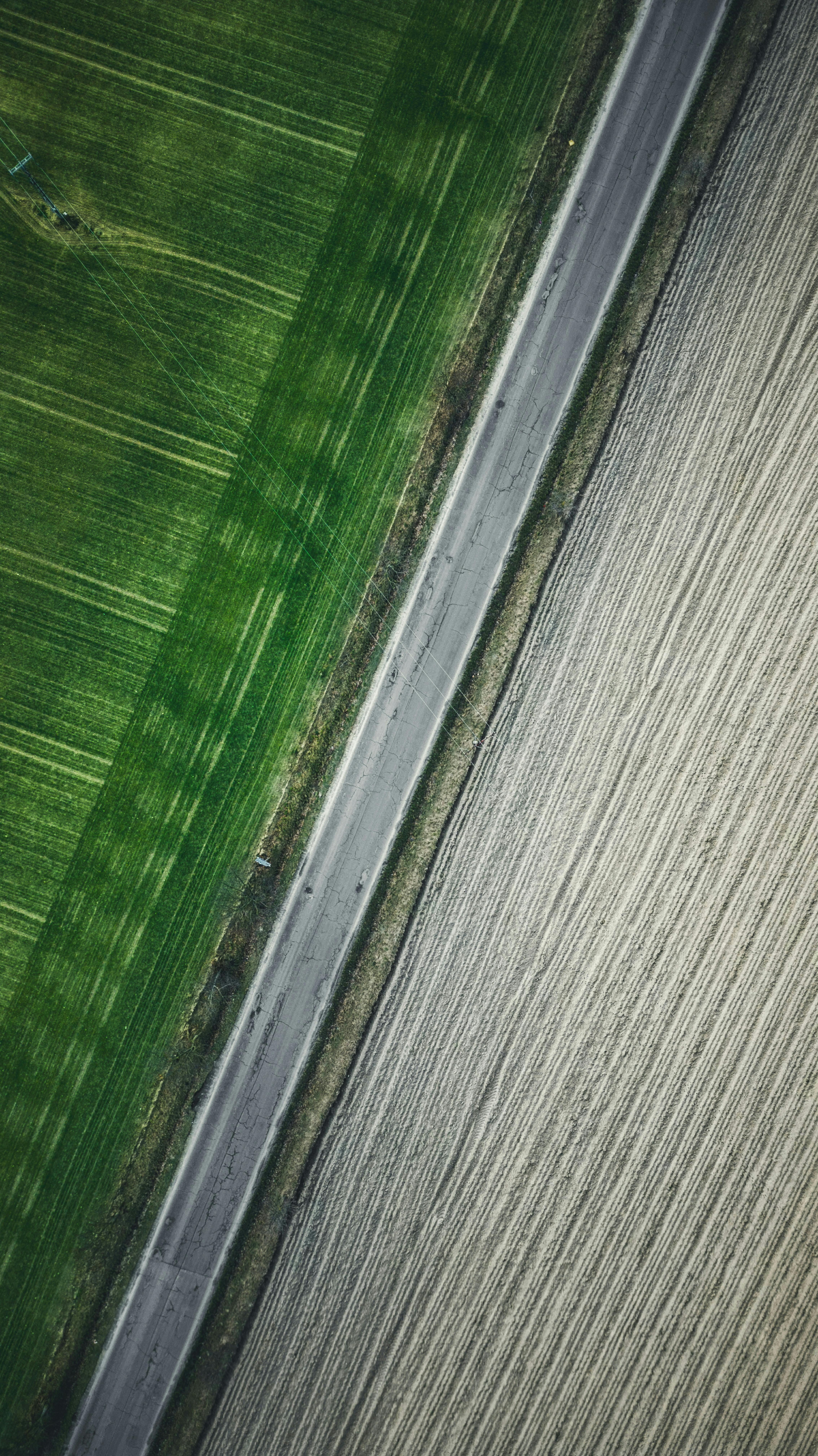 Straight Road between Fields · Free Stock Photo