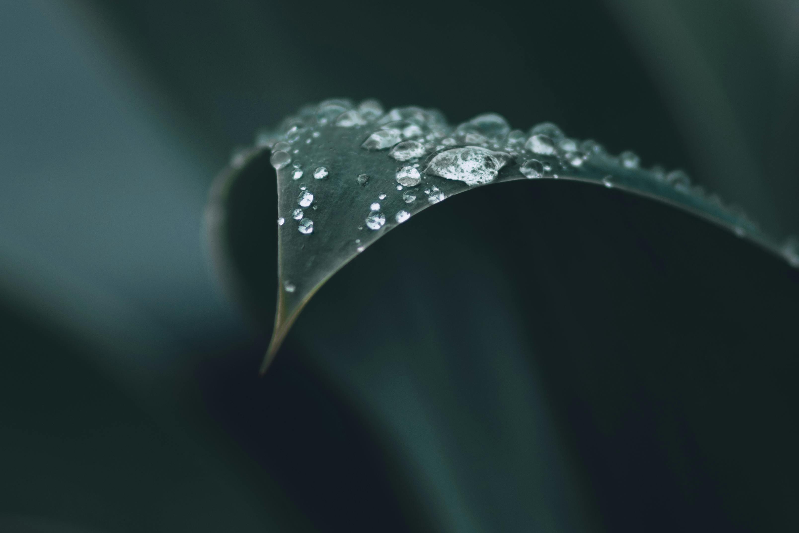 Rain Drop Effects Photos, Download The BEST Free Rain Drop Effects ...