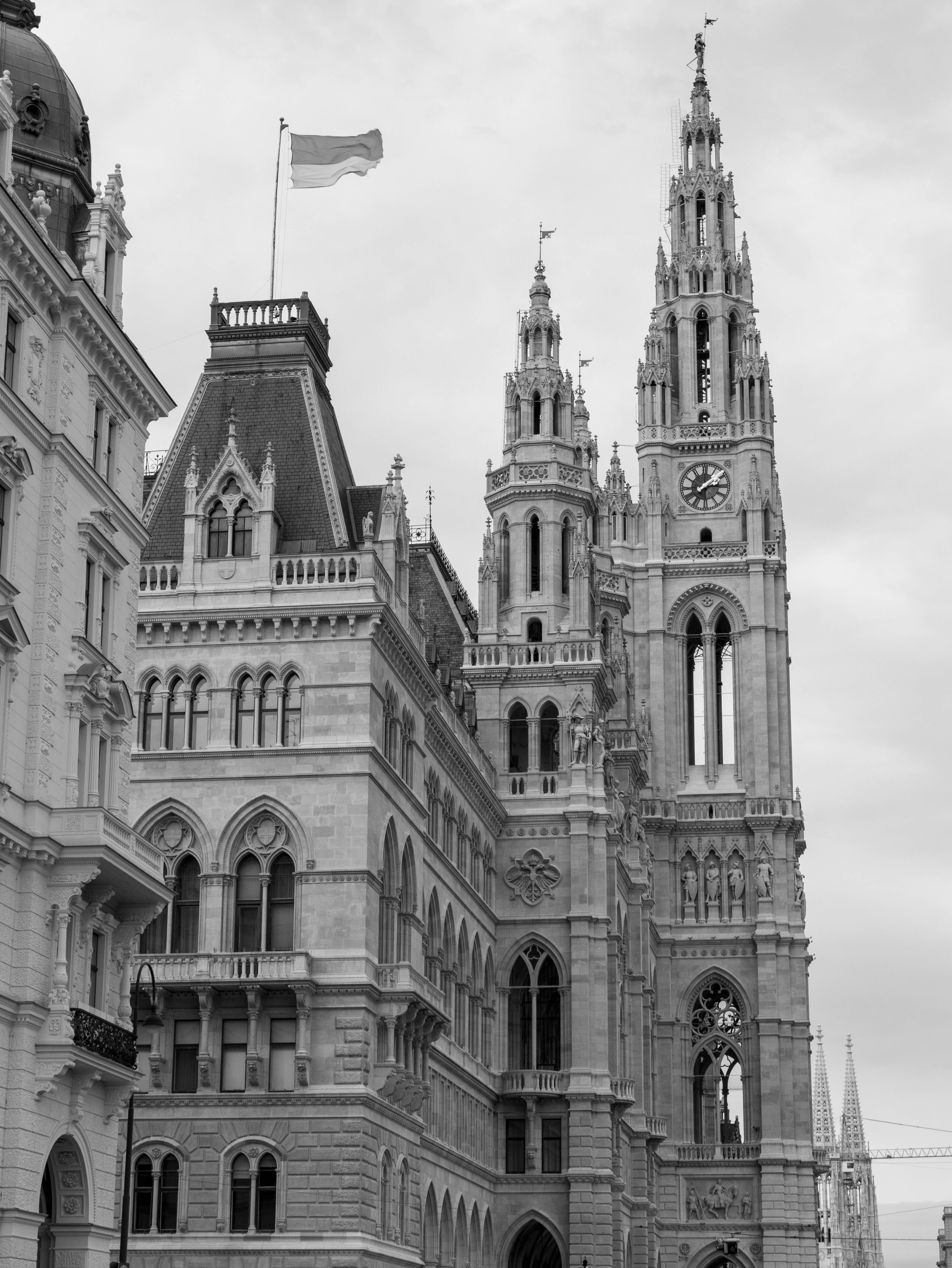 Town Hall in Vienna · Free Stock Photo