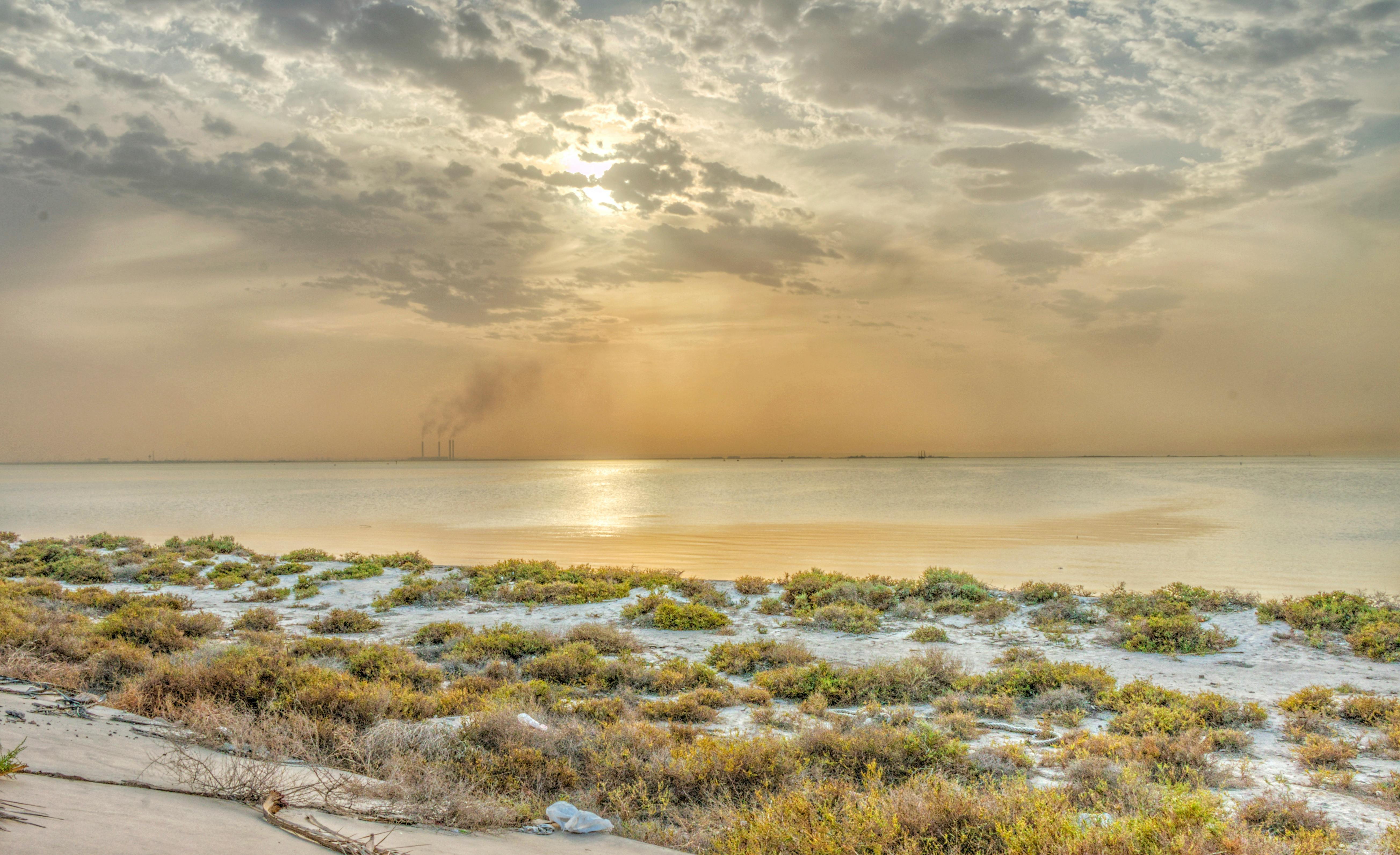 Processing Plants Photos, Download The BEST Free Processing Plants ...