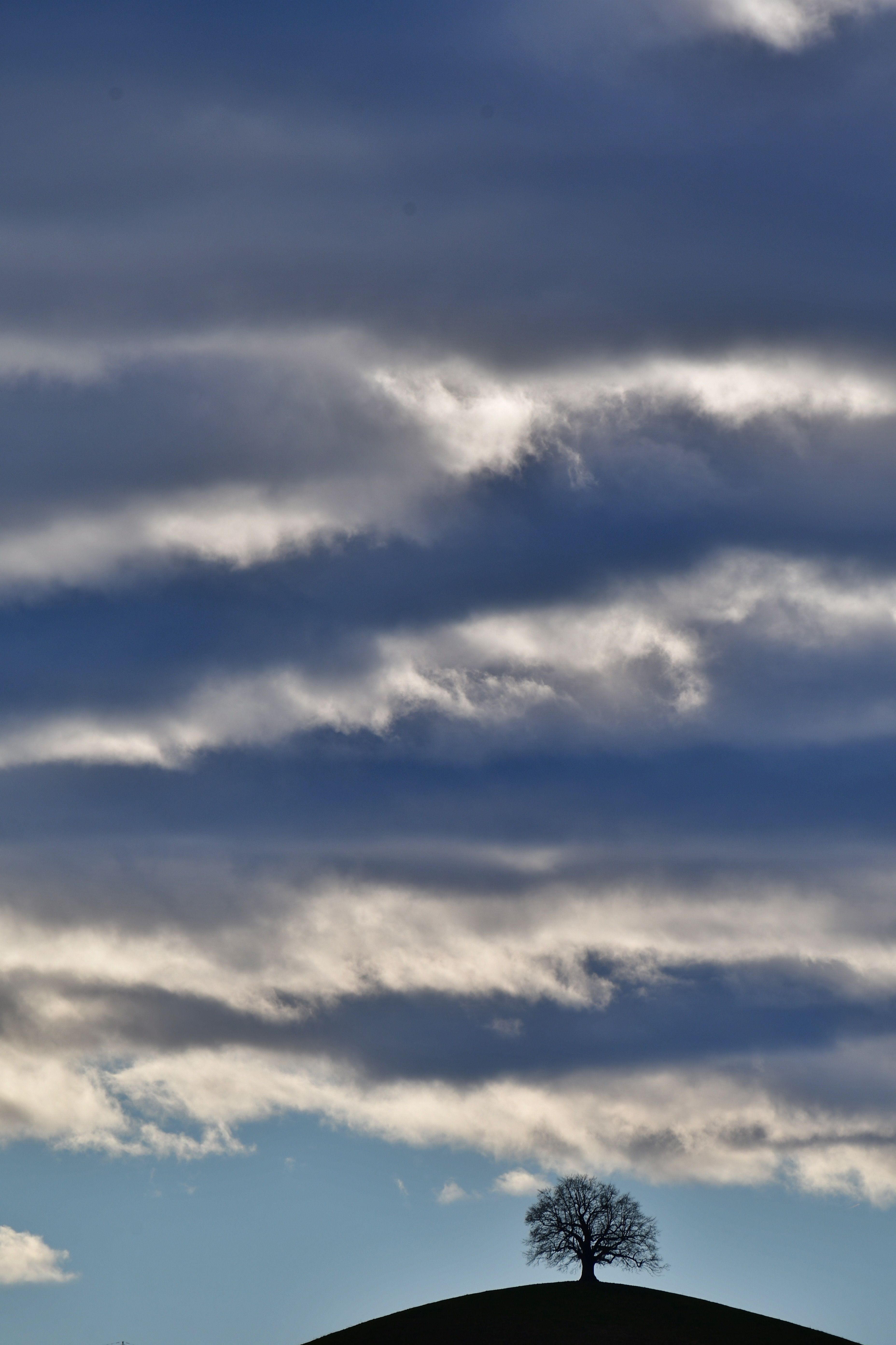Clouds on Sky over Single Tree on Hilltop · Free Stock Photo