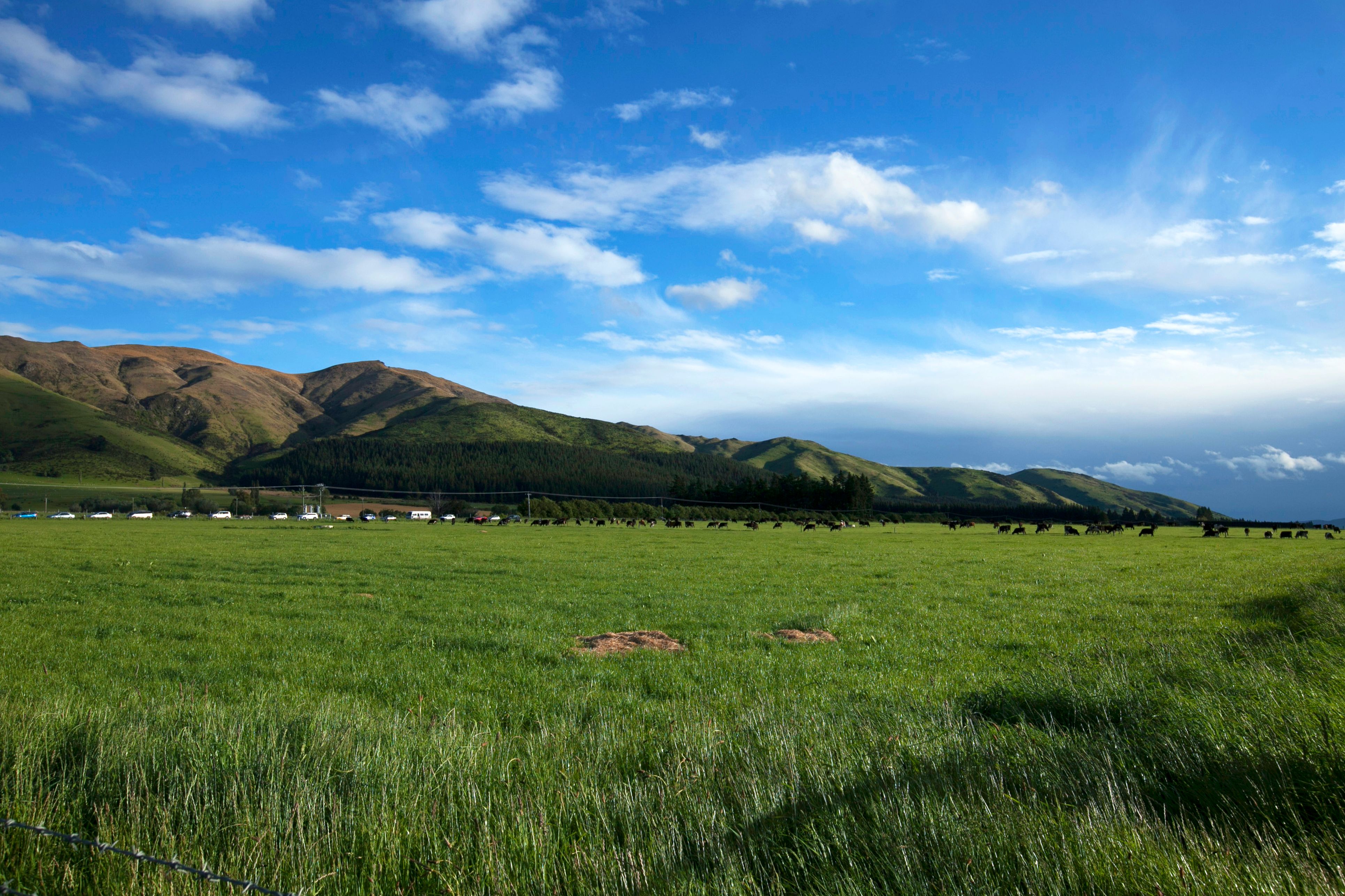 Green Countryside Hills on Sea Coast · Free Stock Photo