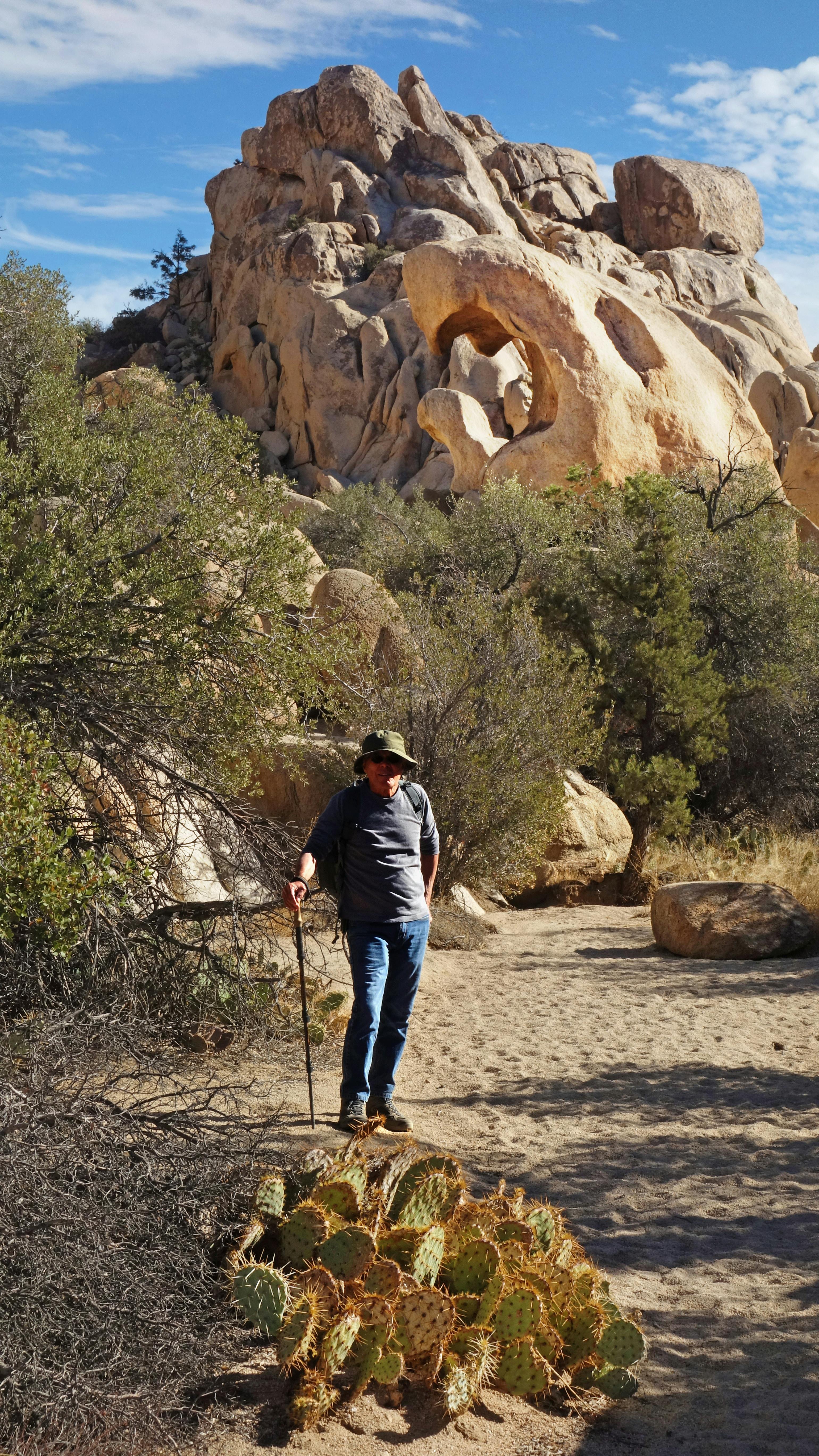 Hiker Standing against Rock Formation in Joshua Tree National Park ...
