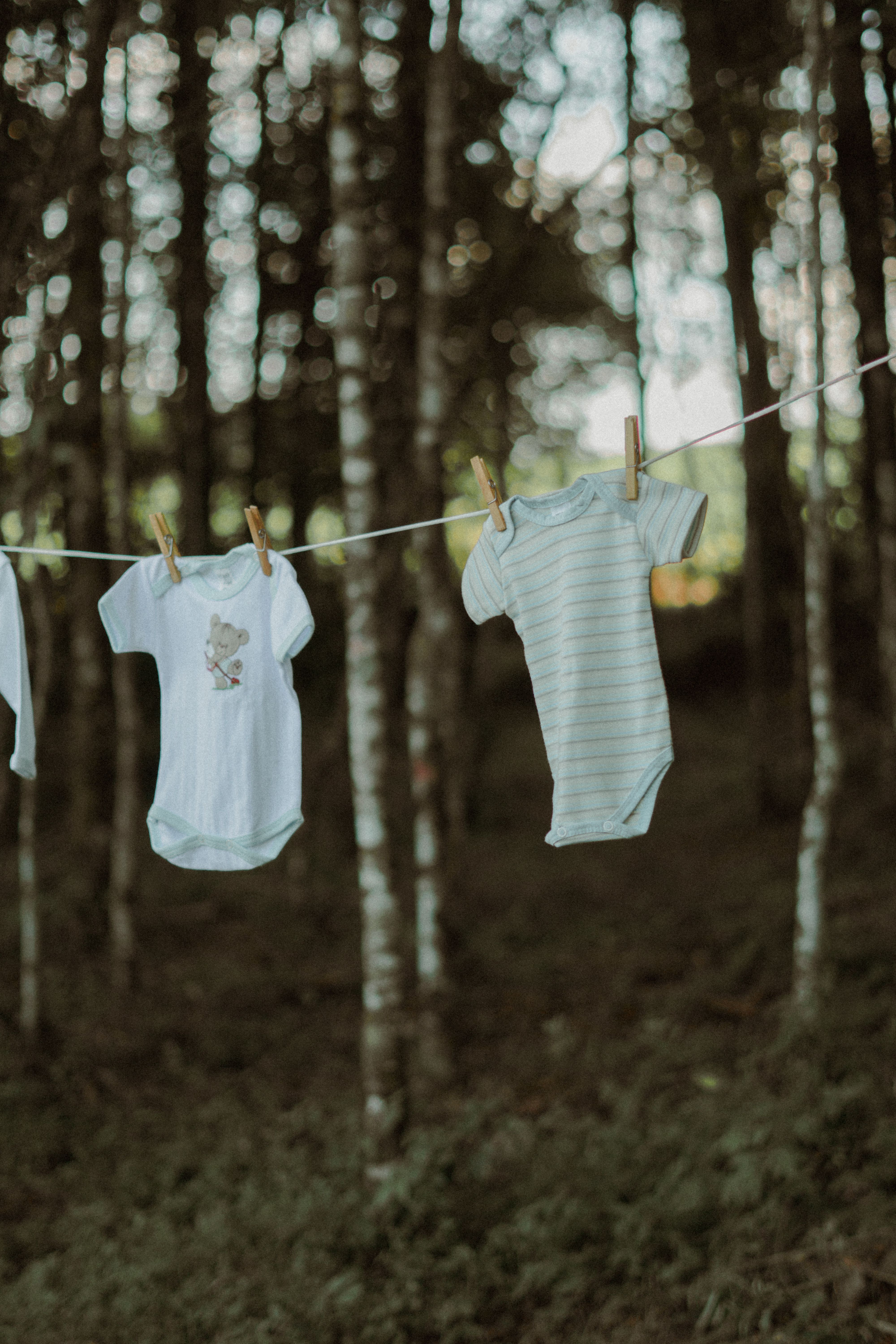 Clothes Drying on String in Forest · Free Stock Photo