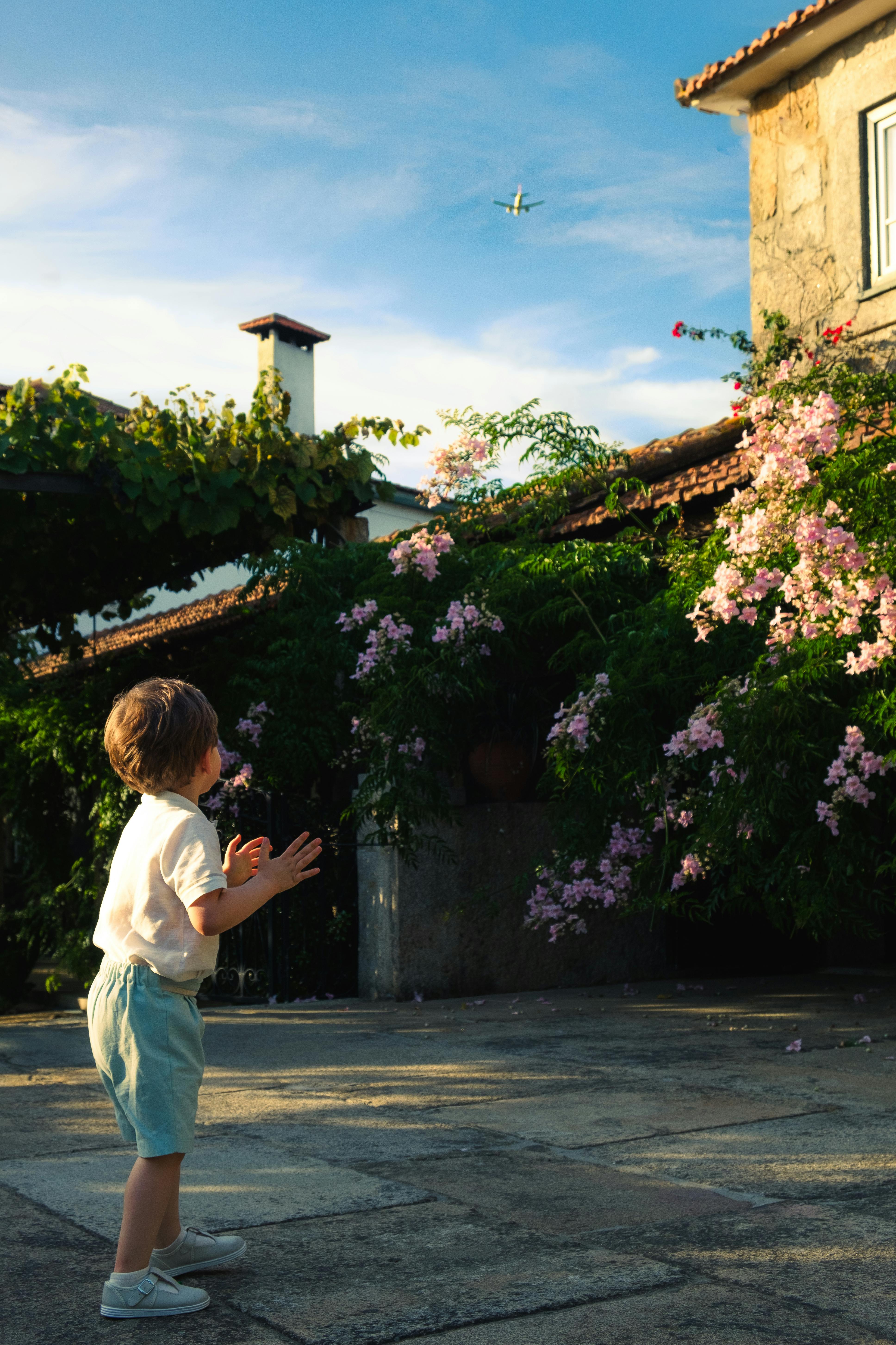 Boy Watching Airplane from Yard · Free Stock Photo